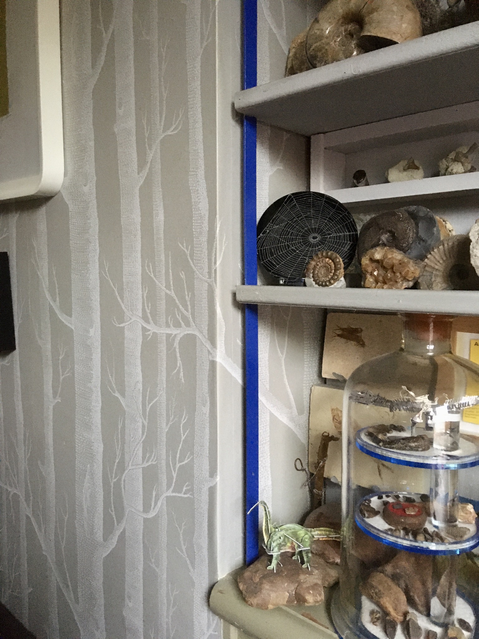 Making a fossil display shelf - Questions & Answers - The Fossil Forum