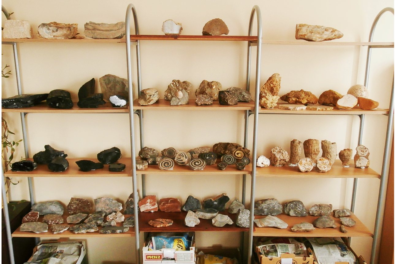 Making a fossil display shelf - Questions & Answers - The Fossil Forum
