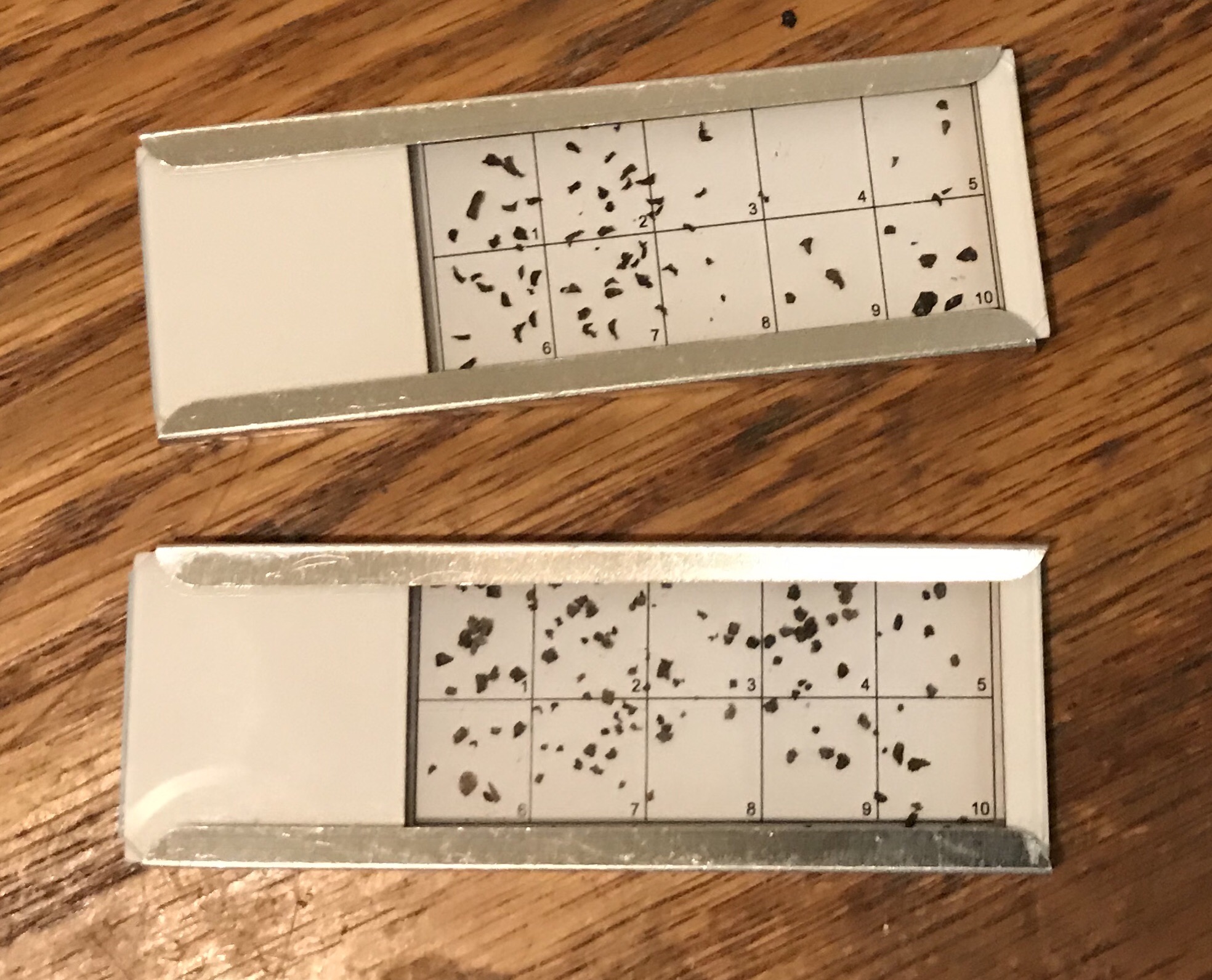 Microfossil slides and more tiny shark remains from the Devonian ...