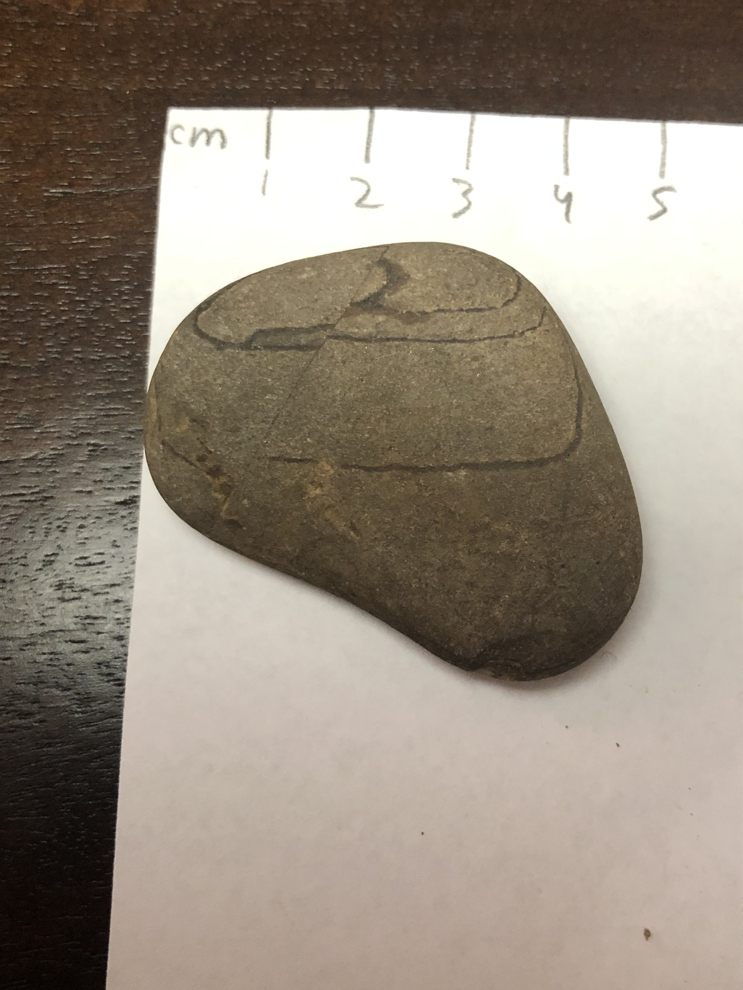 Rock with odd line - Rocks & Minerals - The Fossil Forum