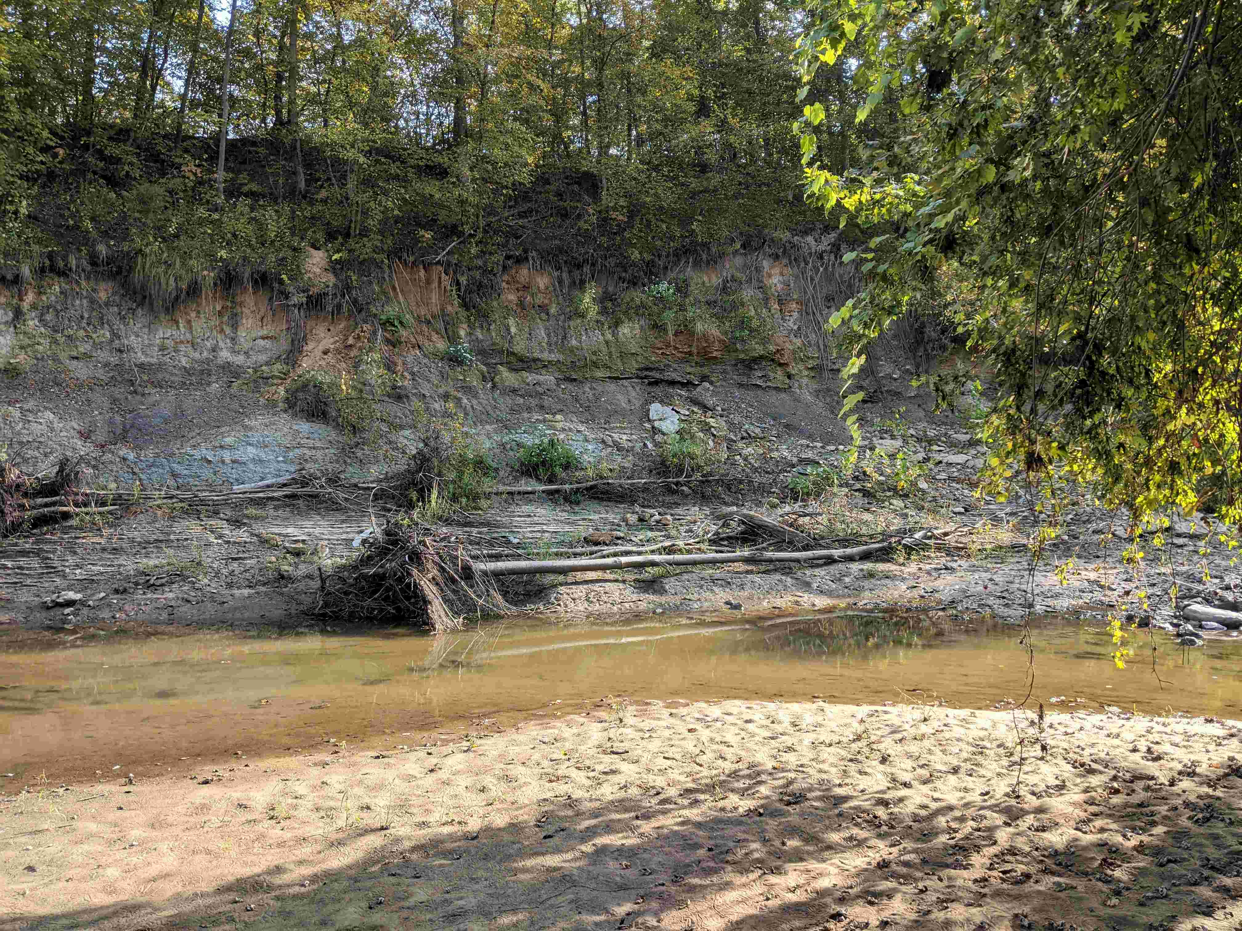 Adventures in the Marmaton - Fossil Hunting Trips - The Fossil Forum
