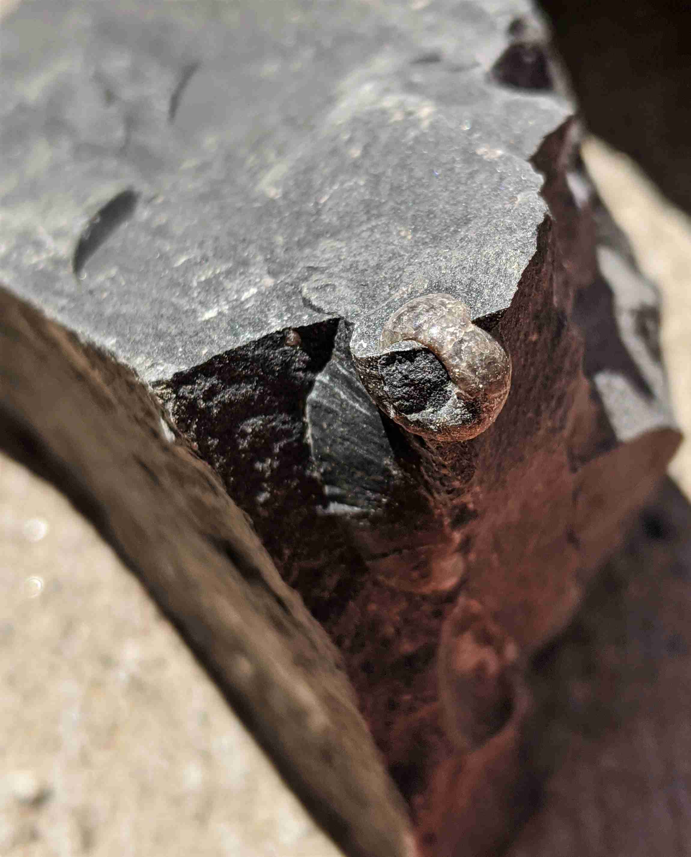 Adventures in the Marmaton - Fossil Hunting Trips - The Fossil Forum