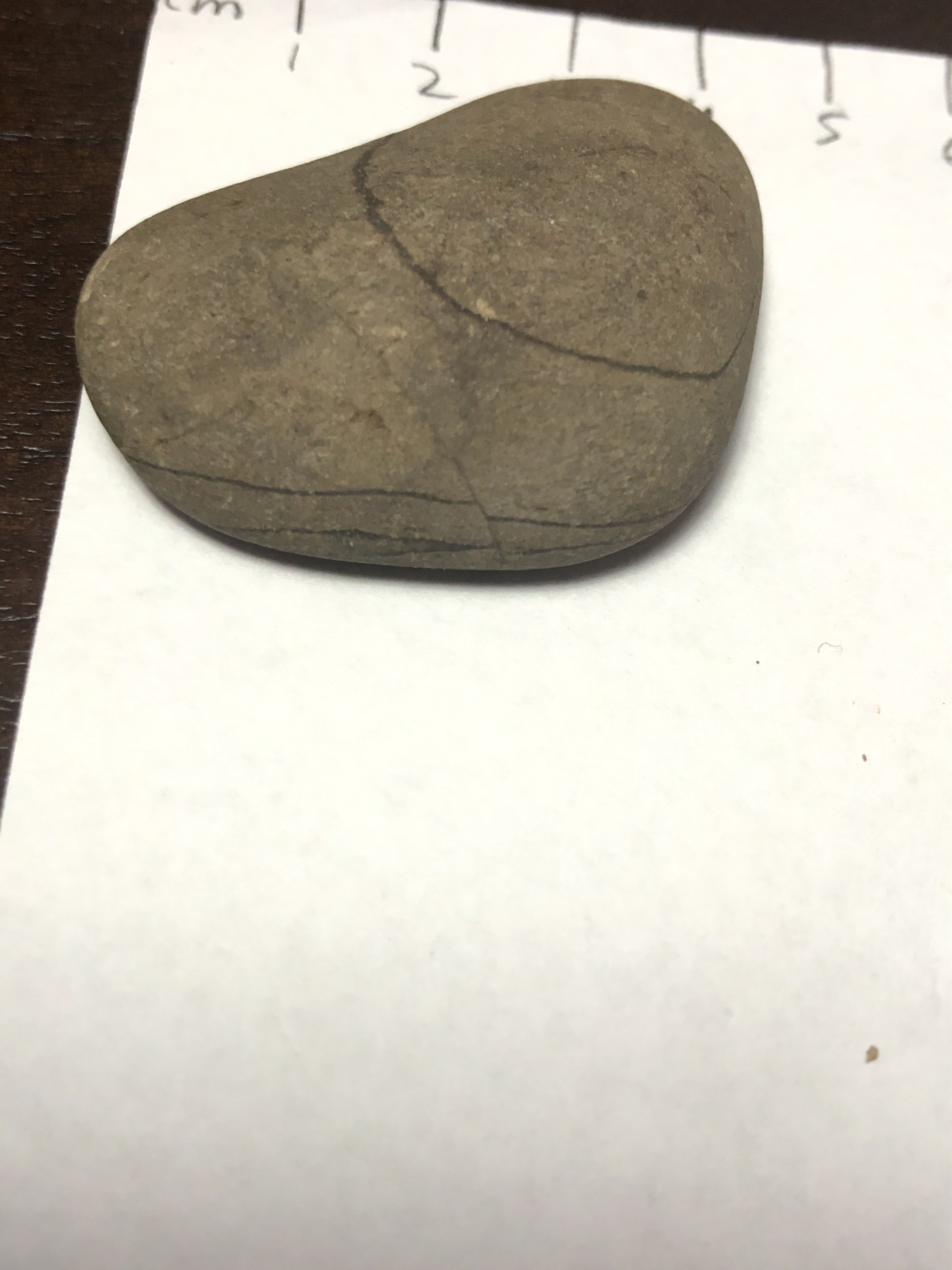 Rock with odd line - Rocks & Minerals - The Fossil Forum