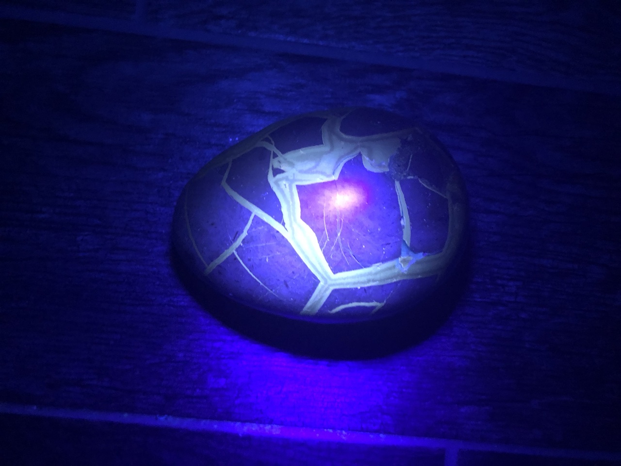 UV Images - General Fossil Discussion - The Fossil Forum