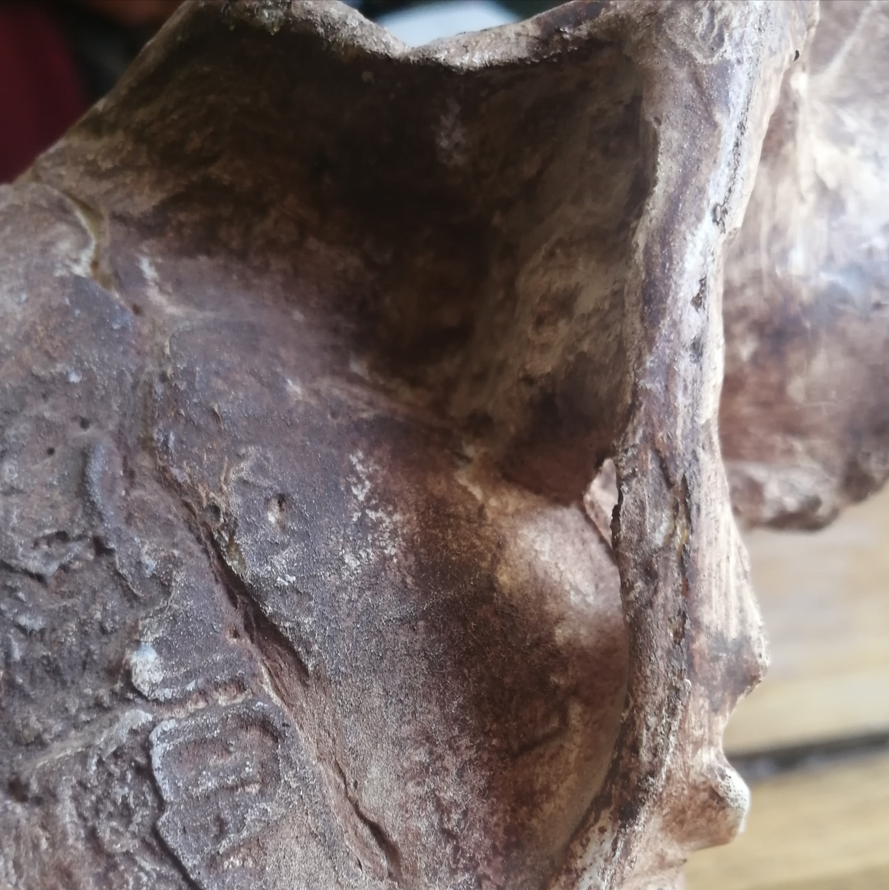 Australopithecus africanus Mrs. Ples - Paleo Re-creations - The Fossil ...