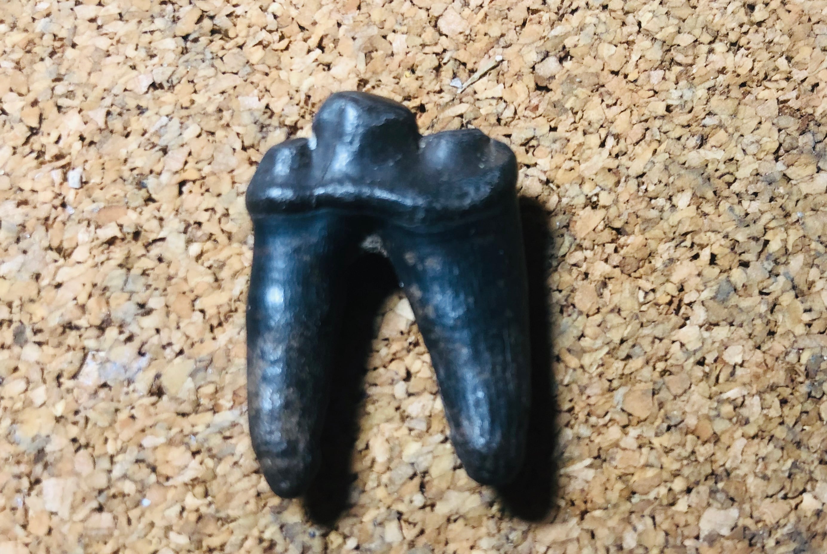 Predator tooth - Fossil ID - The Fossil Forum