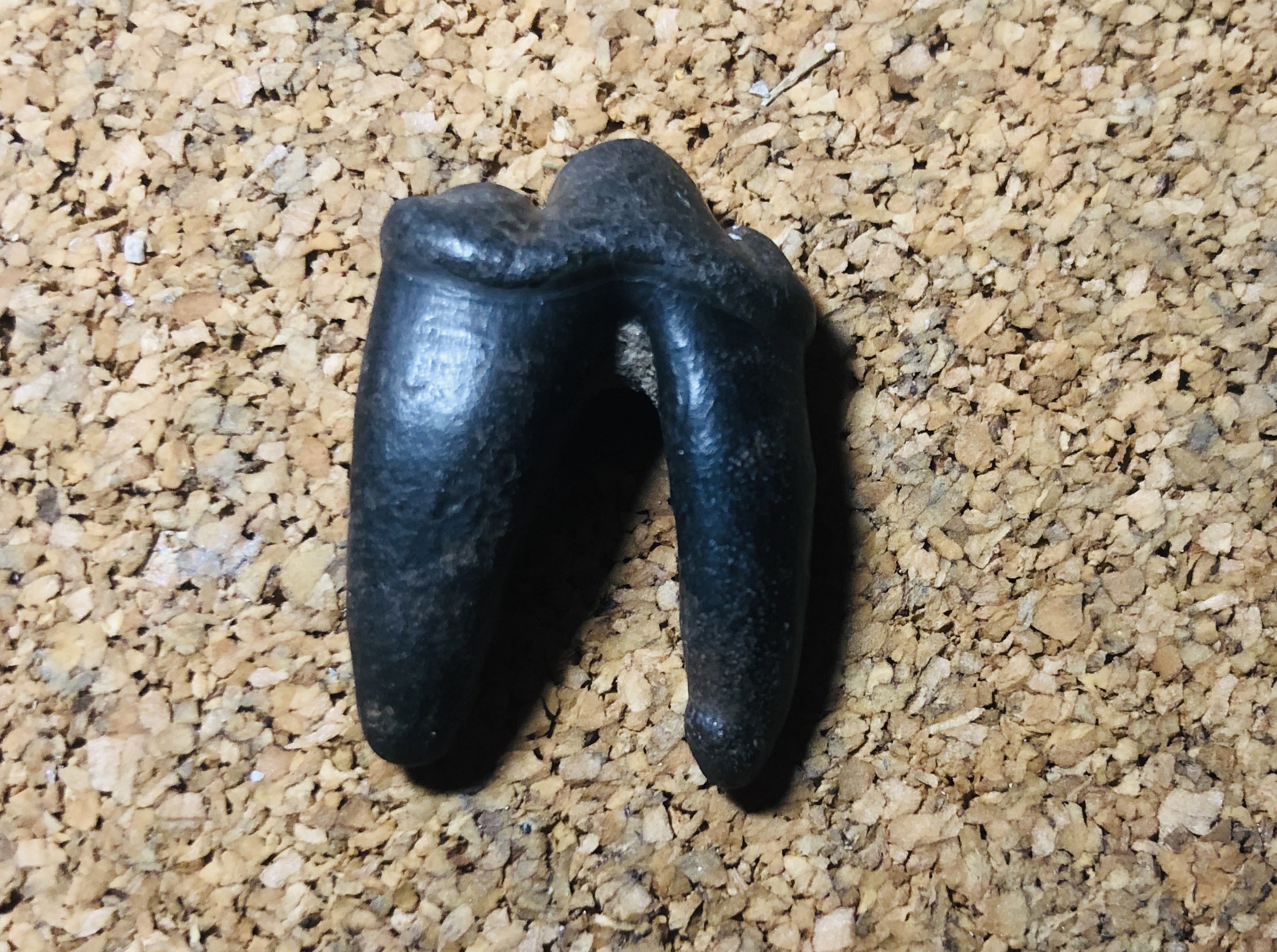Predator tooth - Fossil ID - The Fossil Forum