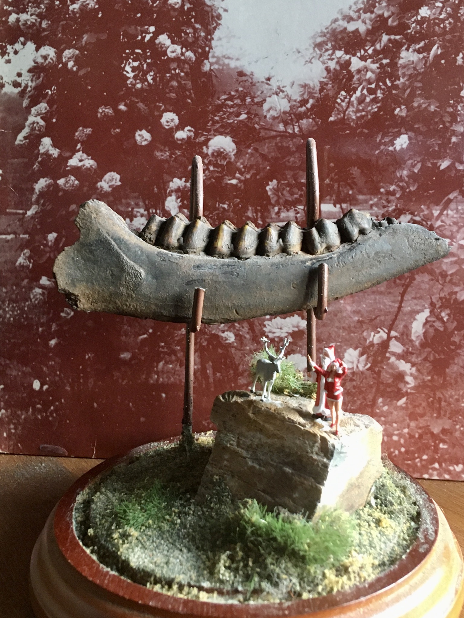 Show Us Your Model Meets Fossil Displays - Member Collections - The ...