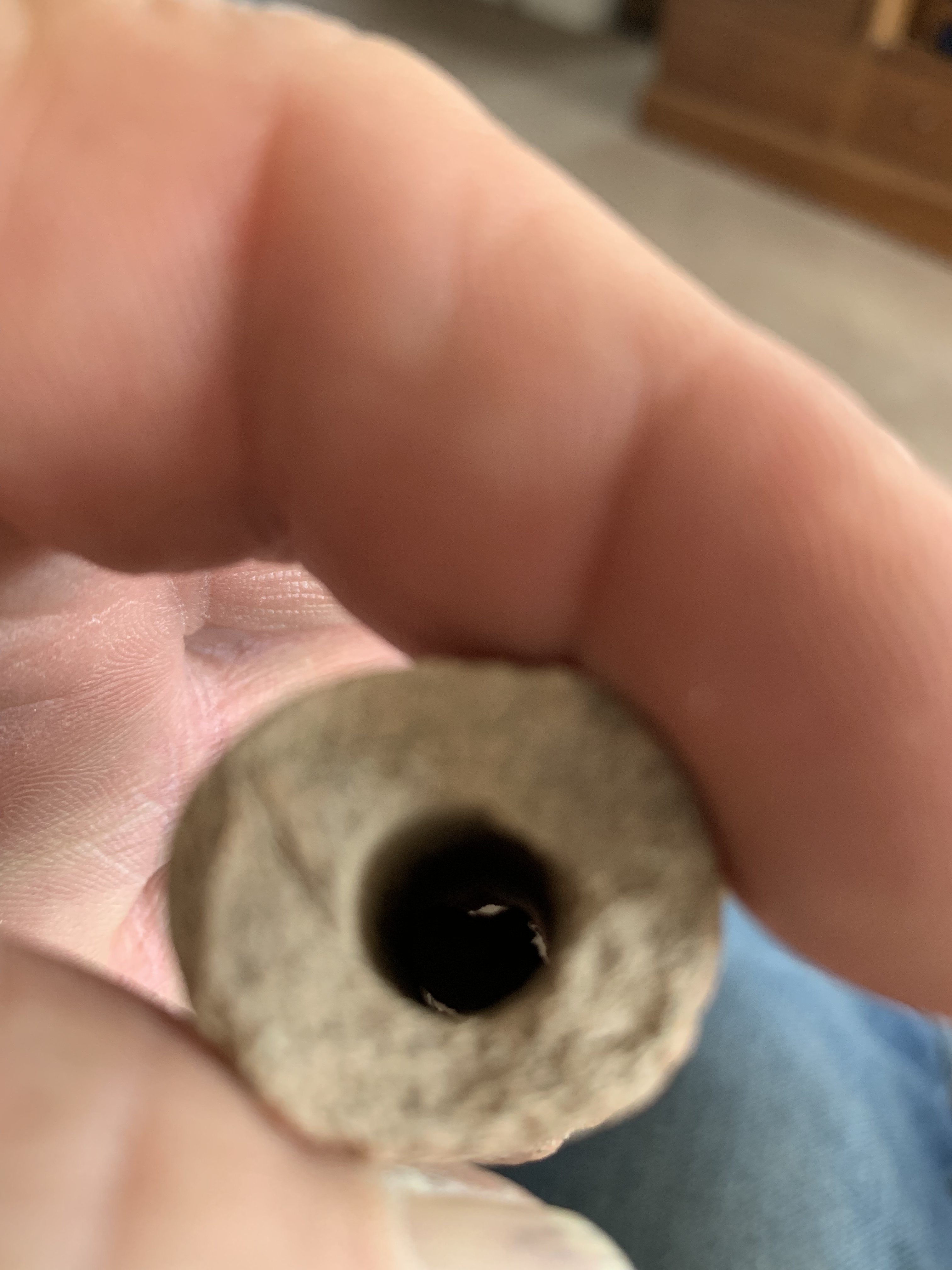 Unusual hollow cylinder - Fossil ID - The Fossil Forum