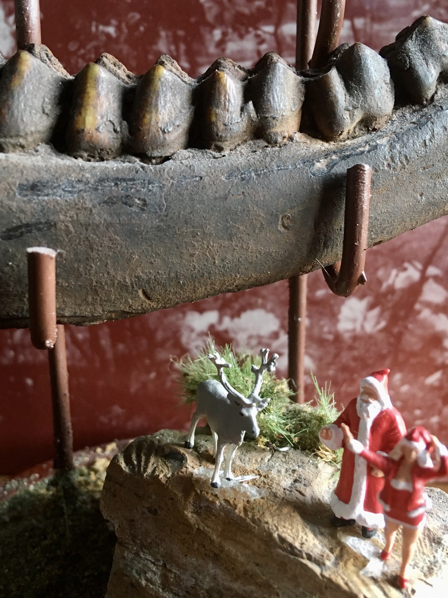 Show Us Your Model Meets Fossil Displays - Member Collections - The ...