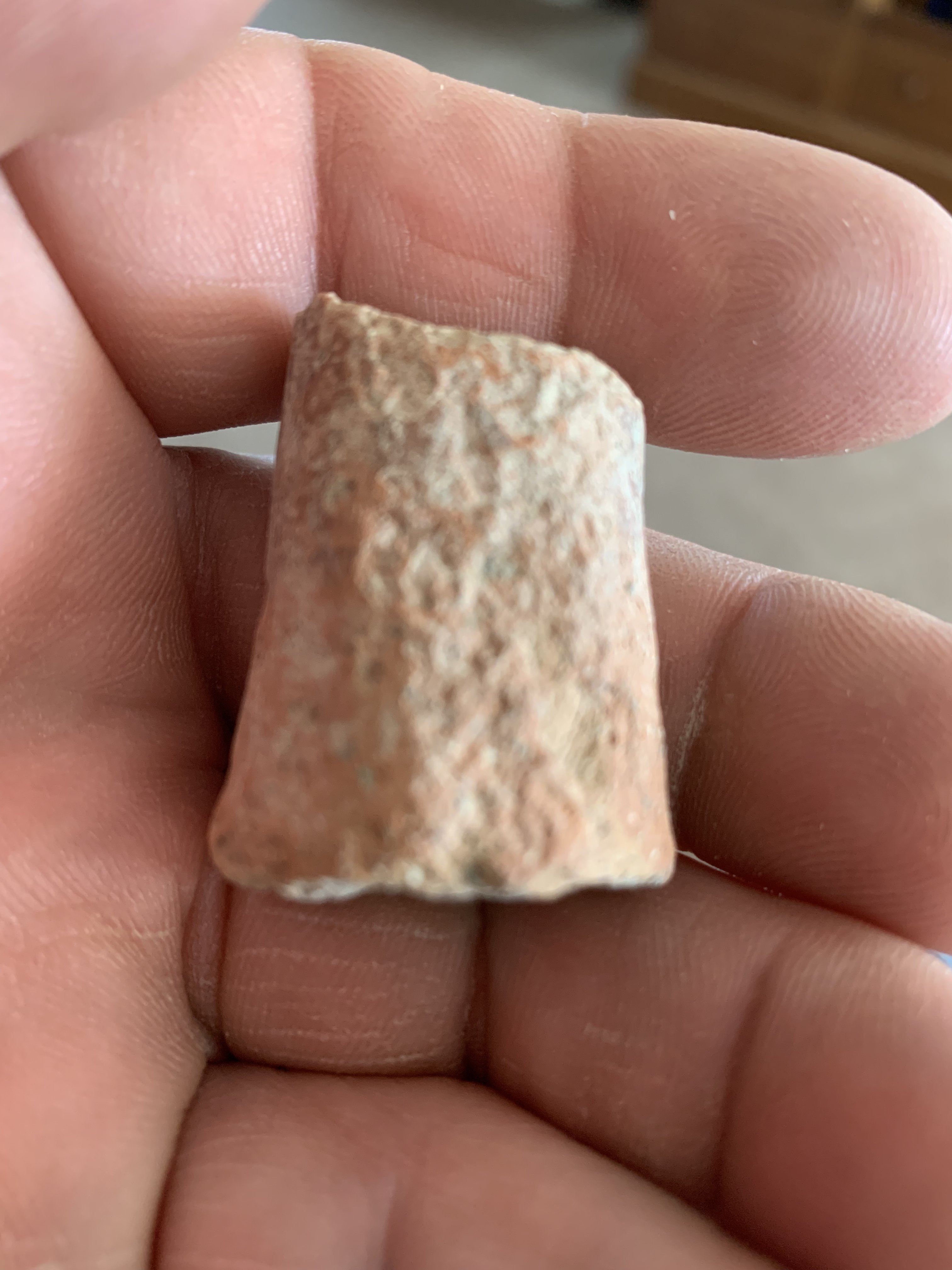 Unusual hollow cylinder - Fossil ID - The Fossil Forum