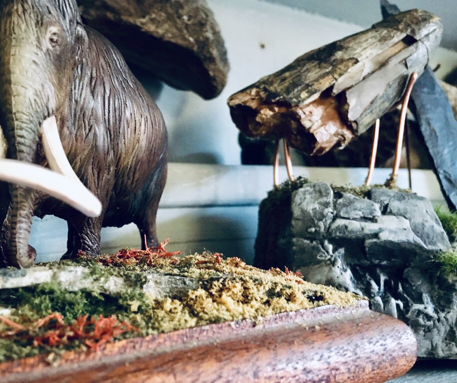 Show Us Your Model Meets Fossil Displays - Member Collections - The ...