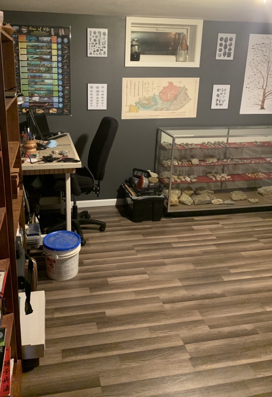 My Fossil Cave - Member Collections - The Fossil Forum