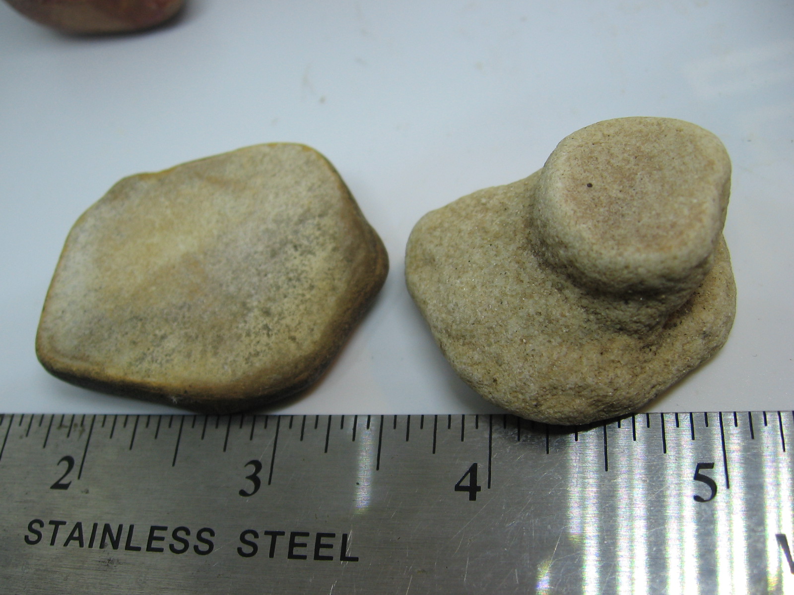 new rocks - Fossil ID - The Fossil Forum