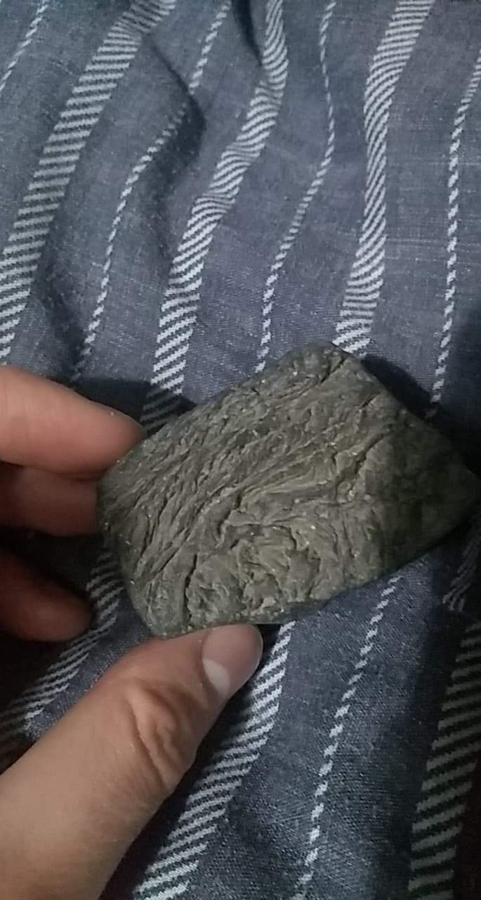 Thames fossil, tree? - Fossil ID - The Fossil Forum