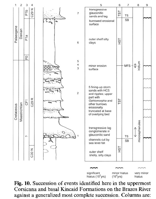 The Pinna Layer of Central New Jersey (USA) - Fossil Hunting Trips ...