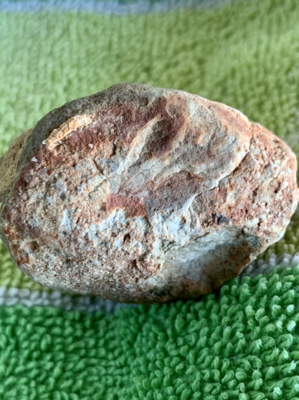 Red rock - Fossil ID - The Fossil Forum
