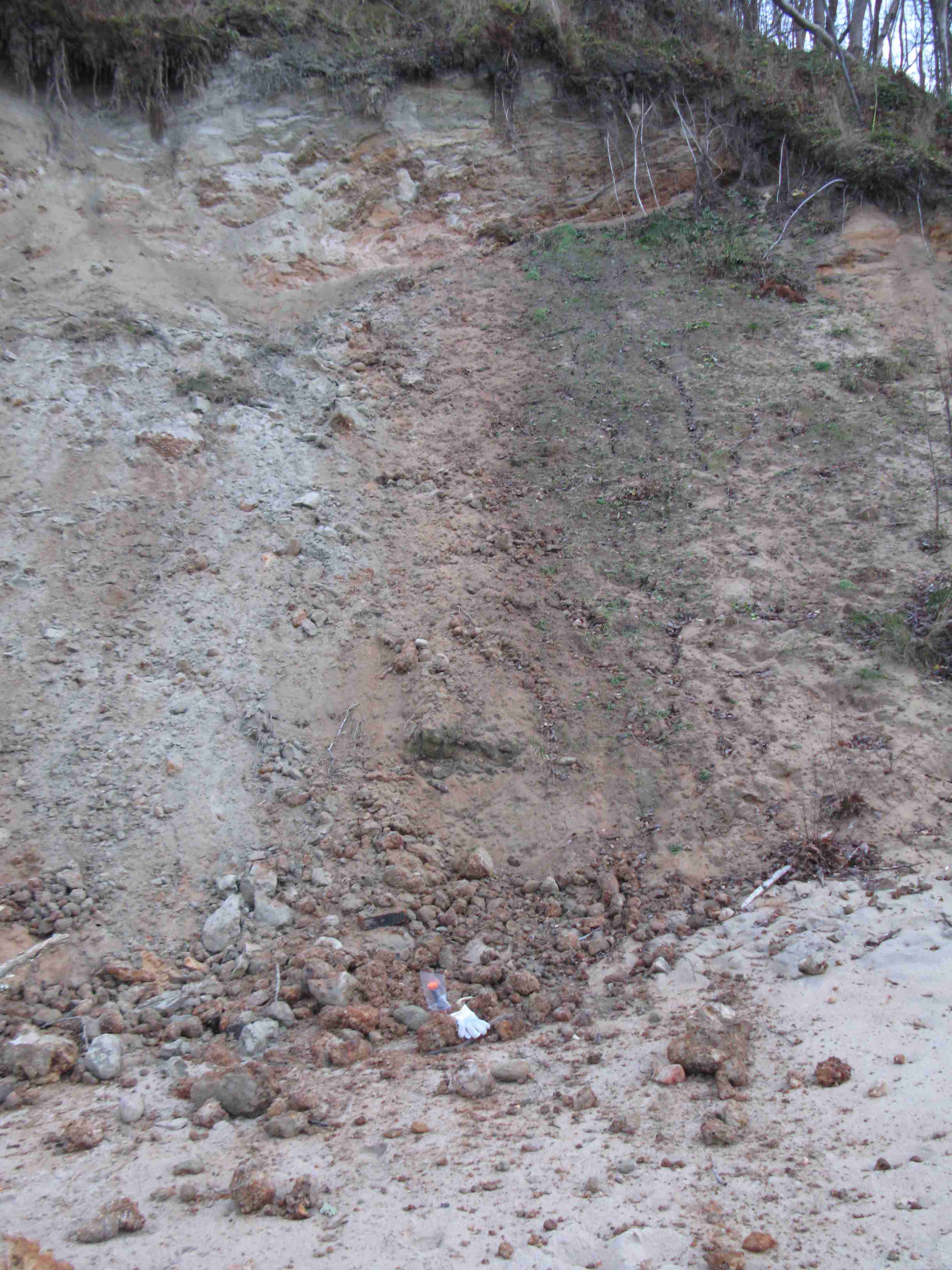 Fragile Porifera - Fossil Hunting Trips - The Fossil Forum