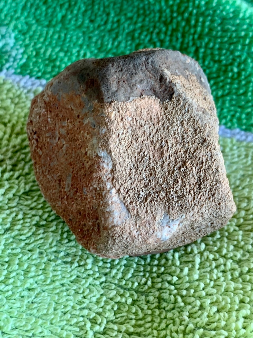Red rock - Fossil ID - The Fossil Forum