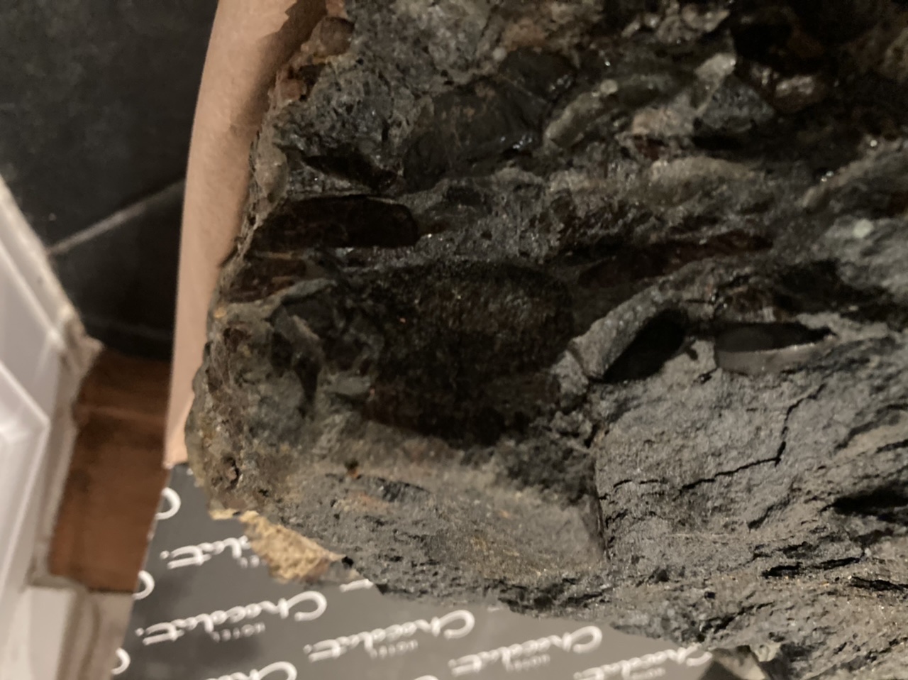 A Trip to the Rhaetic - General Fossil Discussion - The Fossil Forum