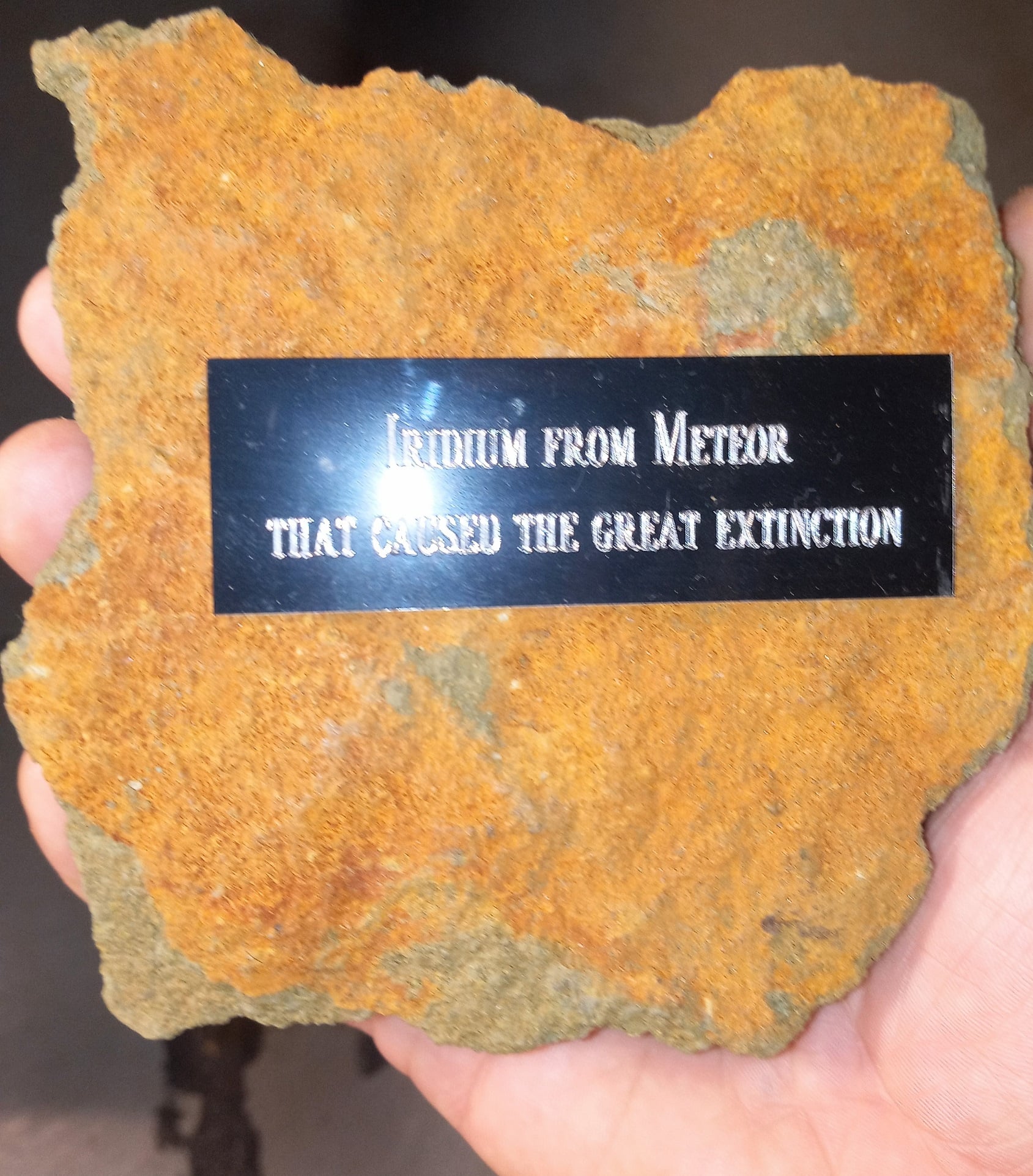 The Pinna Layer of Central New Jersey (USA) - Fossil Hunting Trips ...