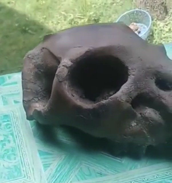 Indonesian skull? - Is It Real? How to Recognize Fossil Fabrications ...