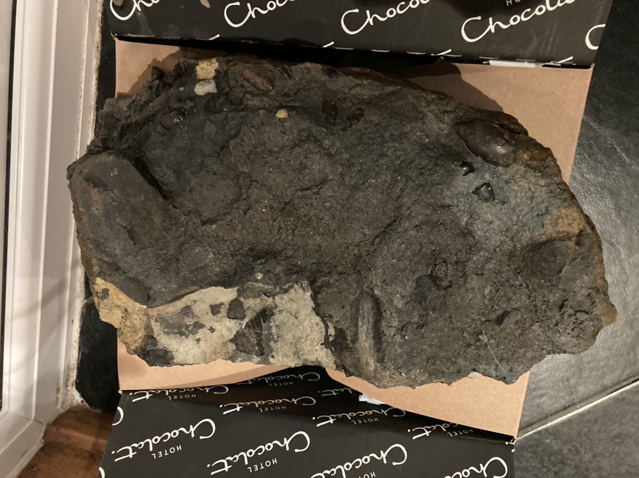 A Trip to the Rhaetic - General Fossil Discussion - The Fossil Forum