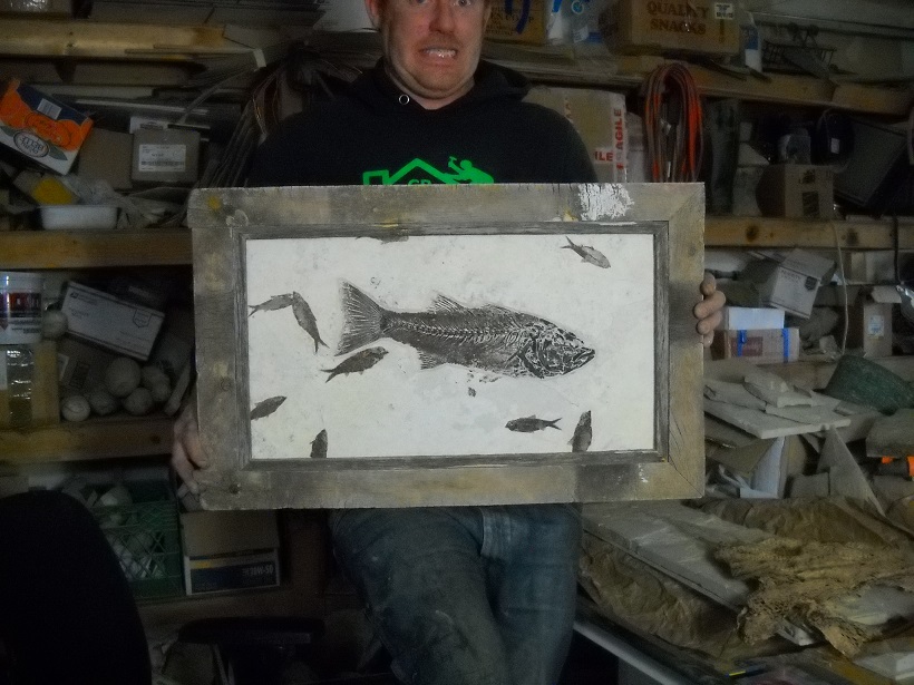 RB's Fossil Fish Prep Thread !!! - Fossil Preparation - The Fossil Forum