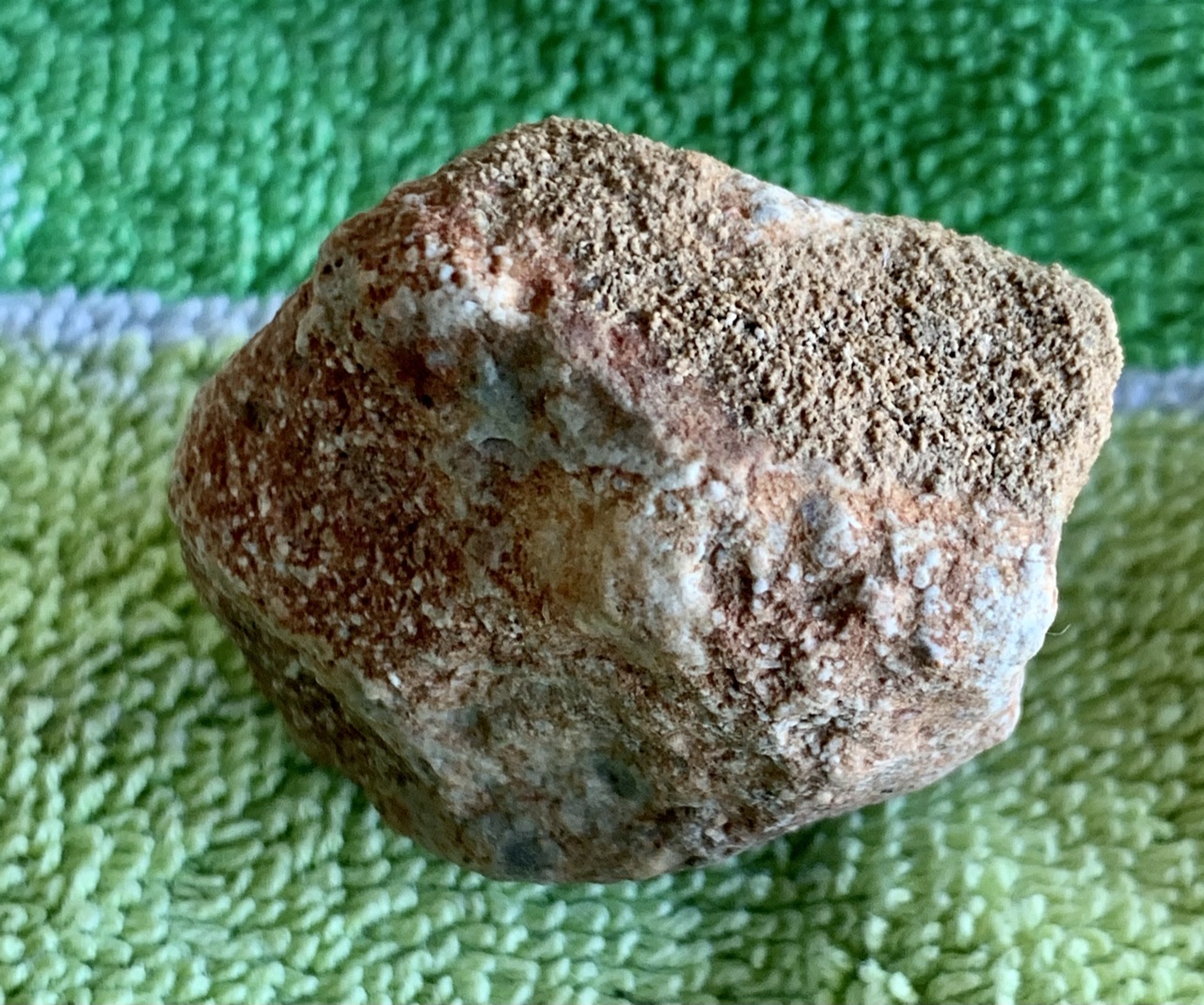 Red rock - Fossil ID - The Fossil Forum
