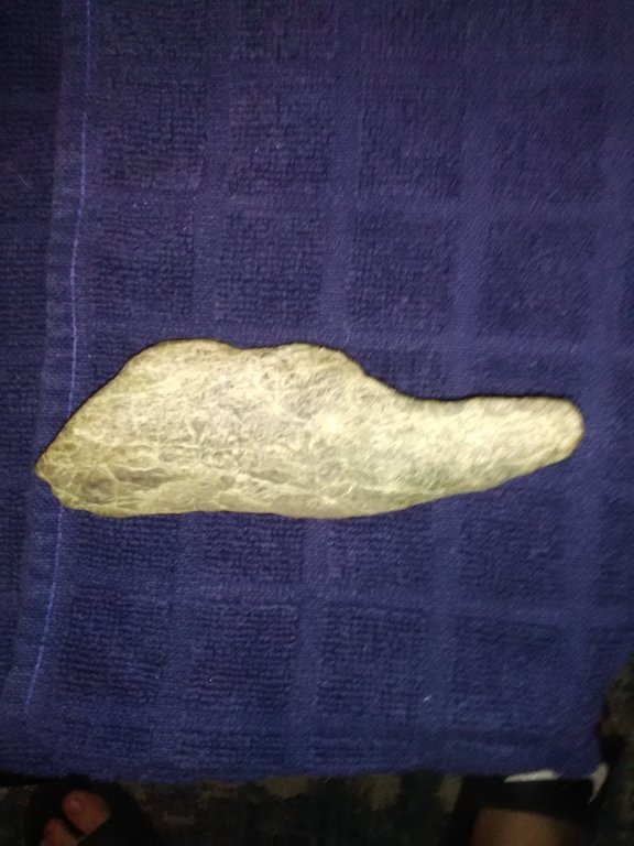 Fossilized Dinosaur Head With Scales And Skin - Fossil ID - The Fossil ...