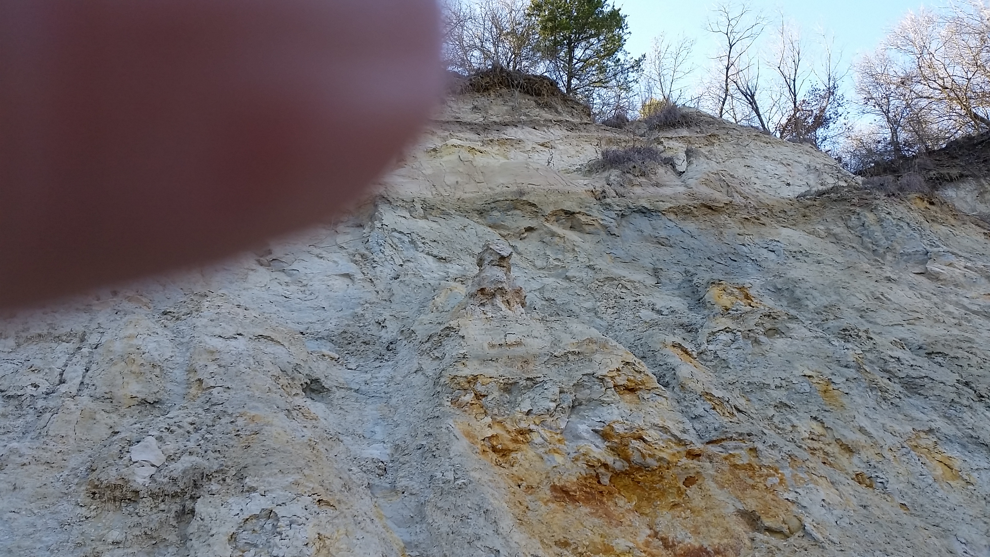North Texas Central Cook County Antlers Sand Formation - Fossil Hunting ...