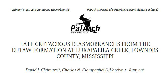 Cretaceous Microfossils - Micro-paleontology - The Fossil Forum