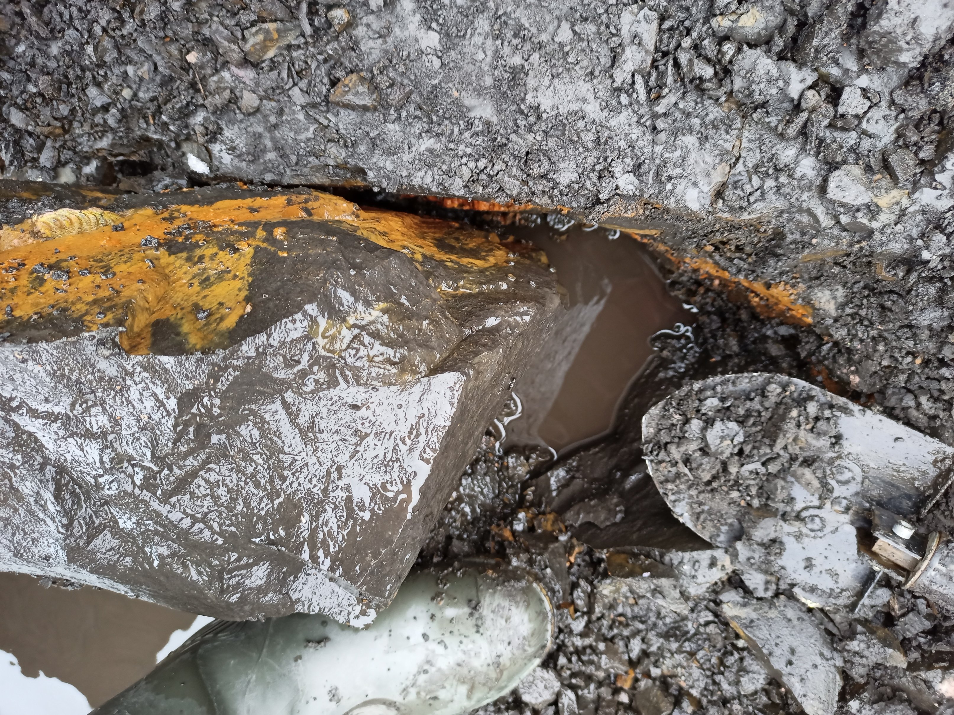 Frozen fossils. Part III - Fossil Hunting Trips - The Fossil Forum