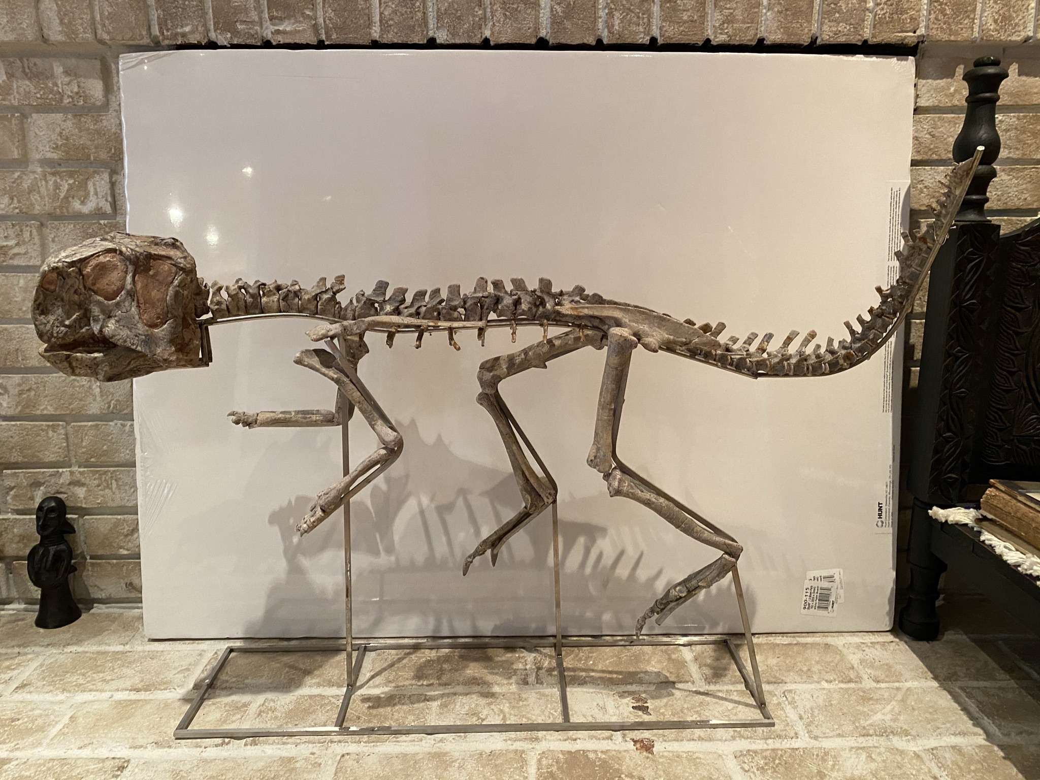 Psittacosaurus restoration - Fossil Preparation - The Fossil Forum