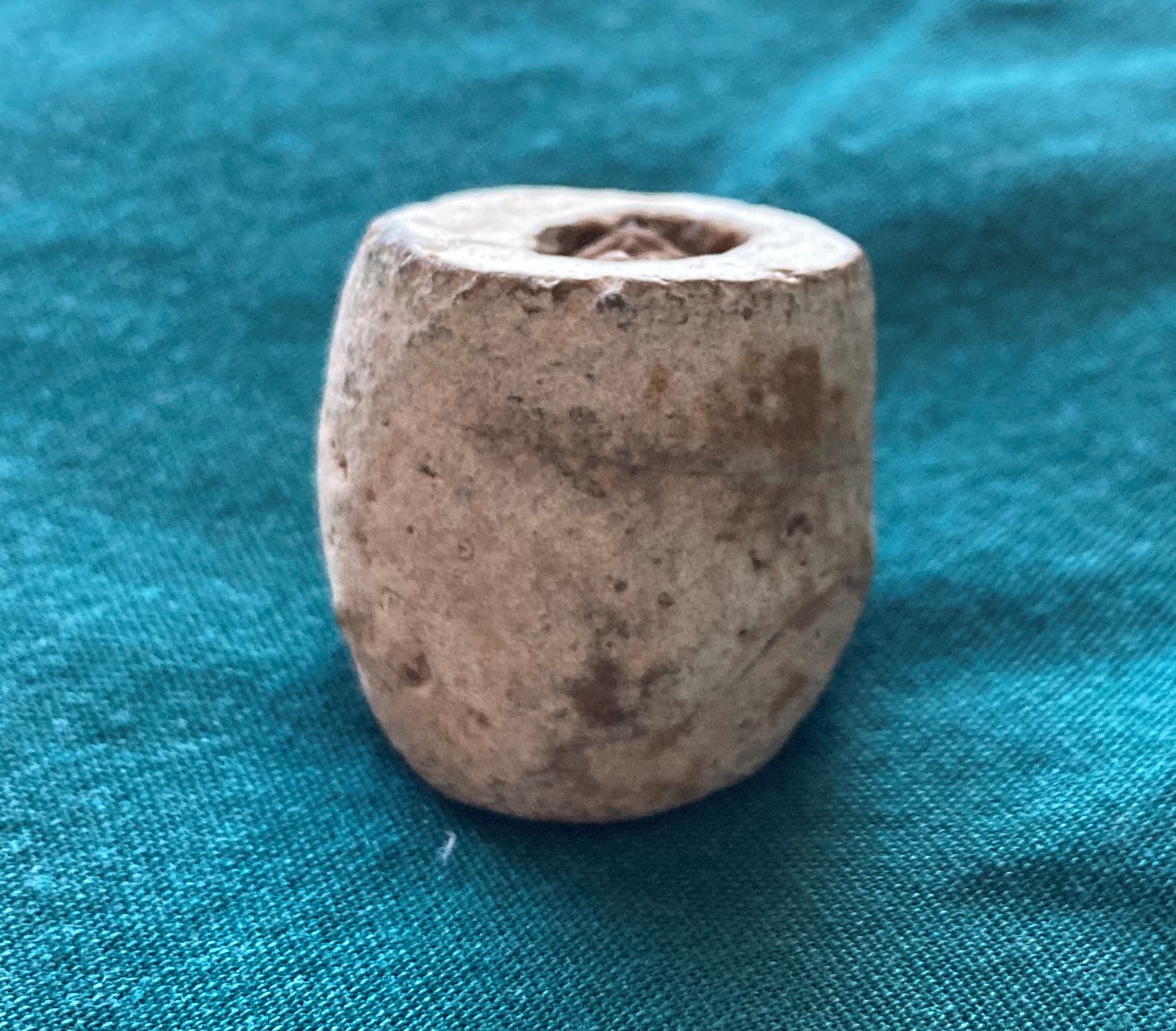 Tube-shaped marine fossil/junk/artifact from Brazos feeder - Fossil ID ...