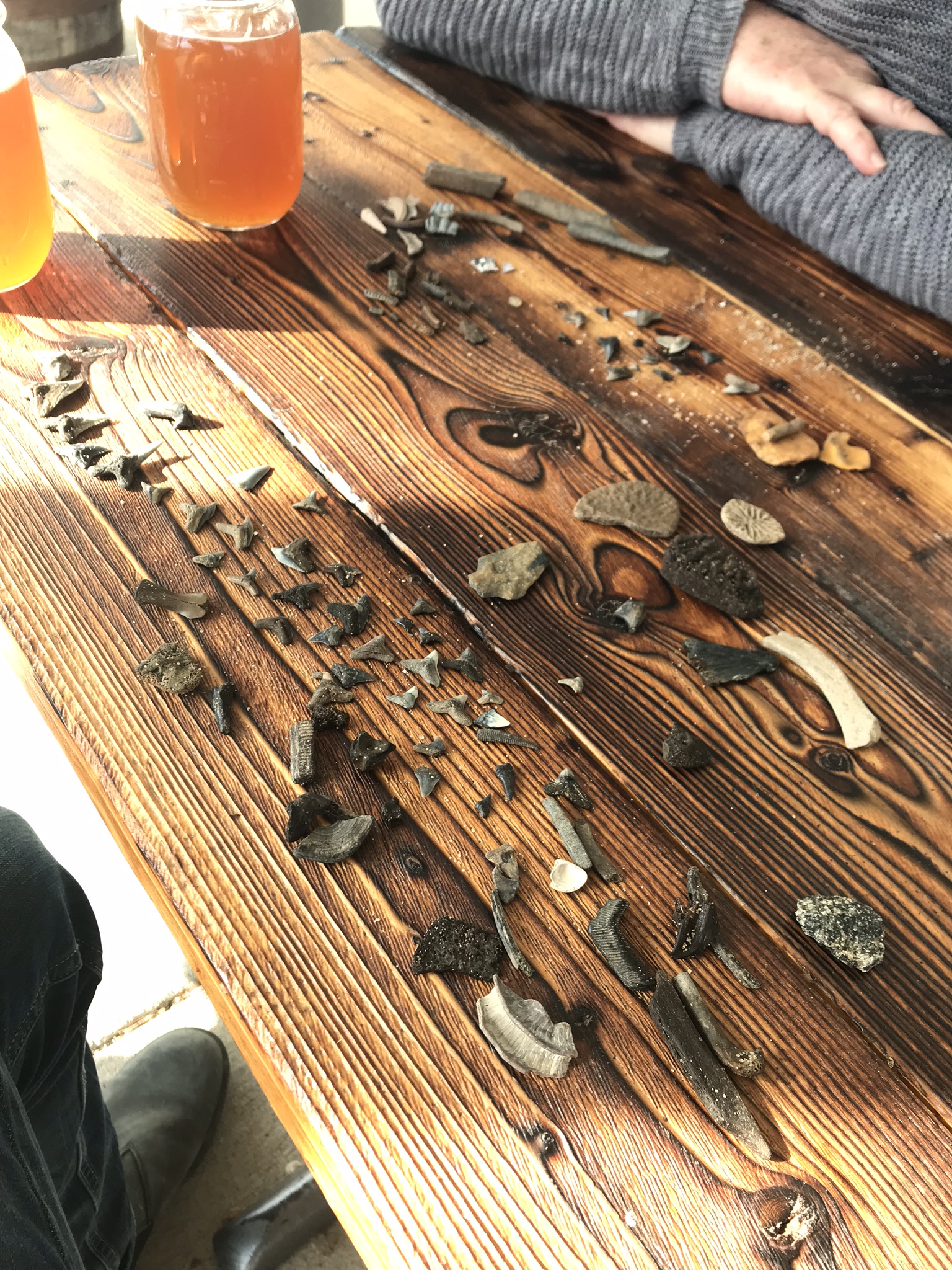 A few days in the northern neck of Virginia - Fossil Hunting Trips ...