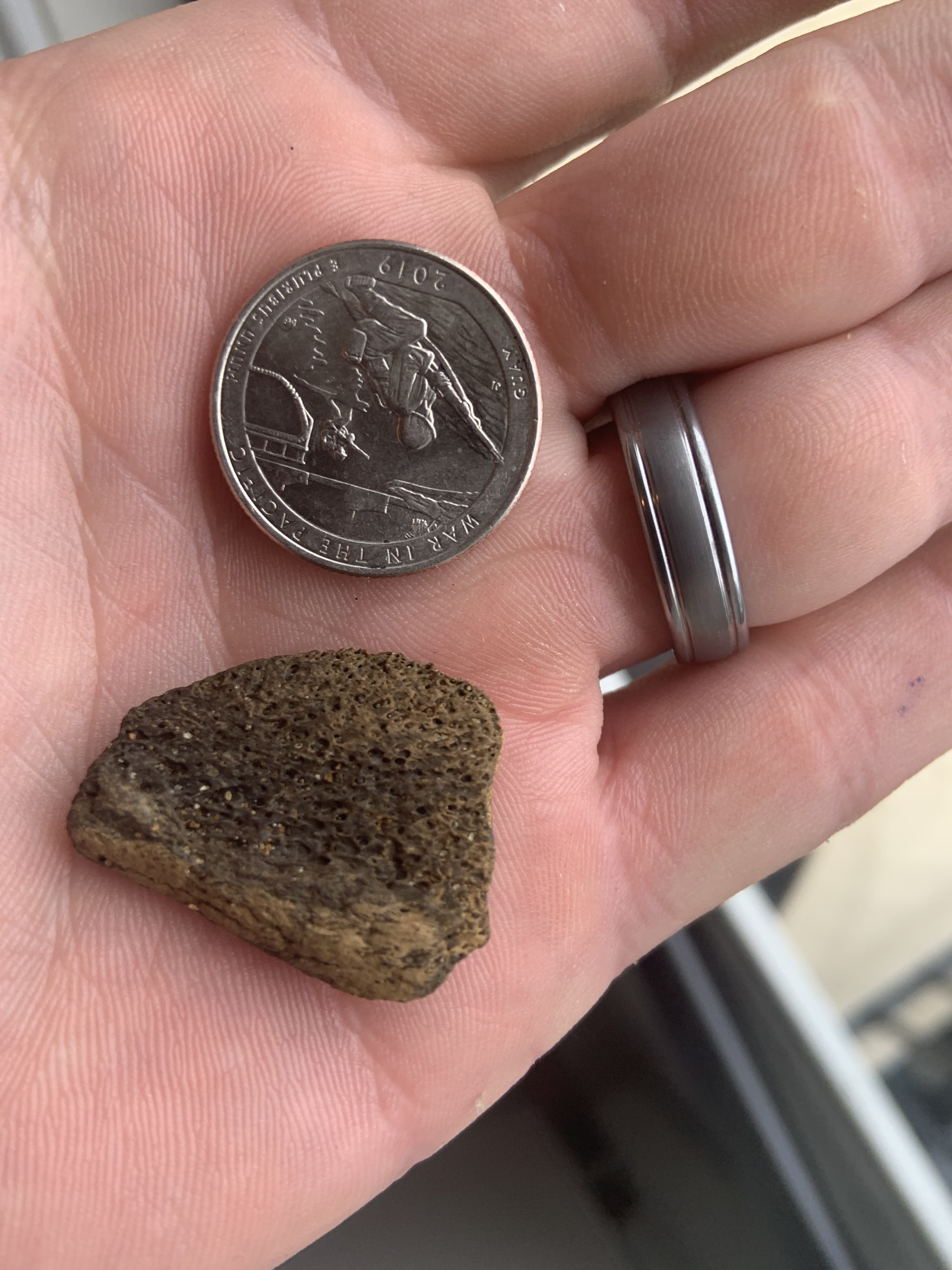 NJ Cretaceous ratfish? - Fossil ID - The Fossil Forum