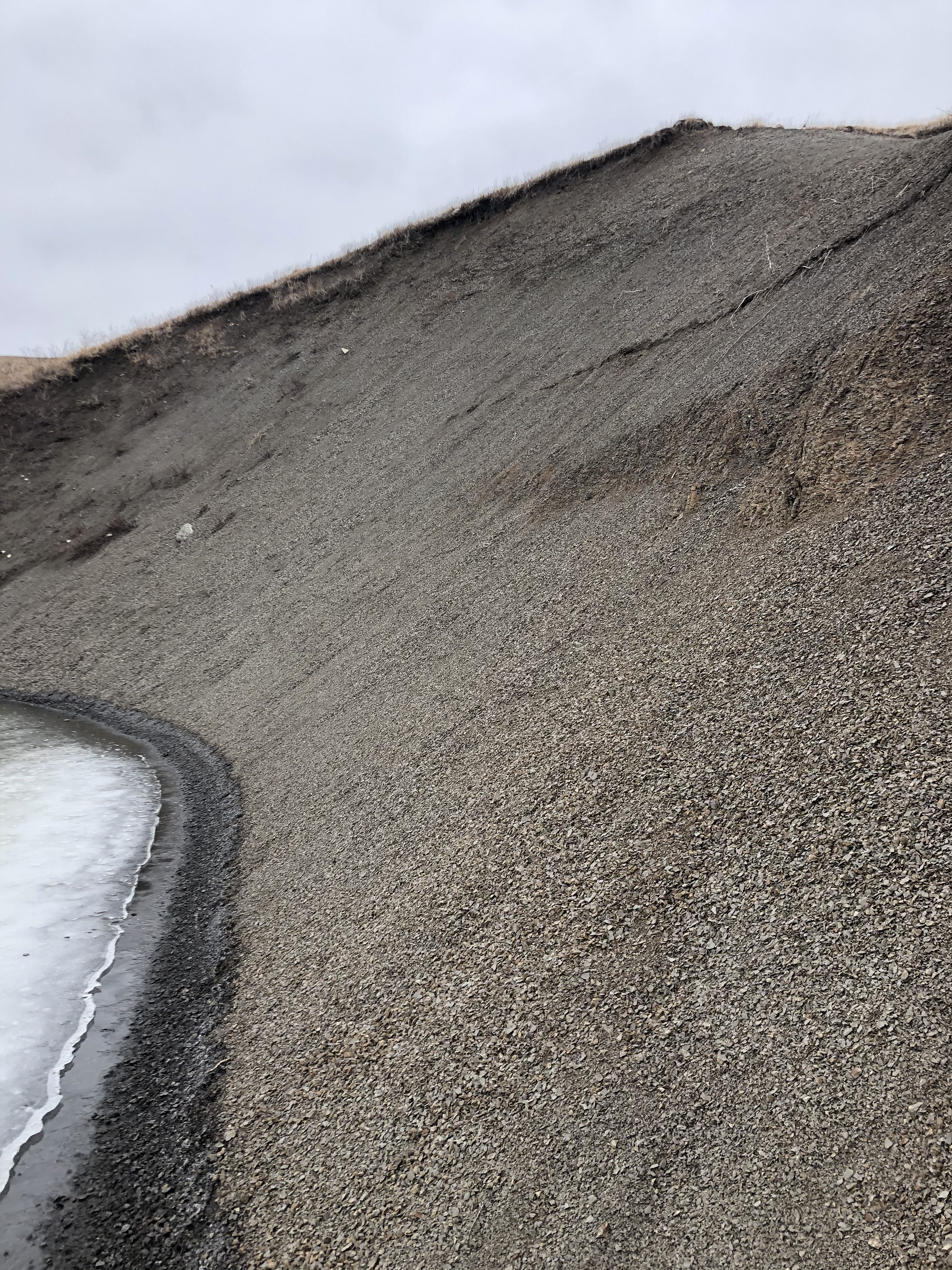 Fox Hills Formation in North Dakota 3/18/21 Pictorial Trip Report ...
