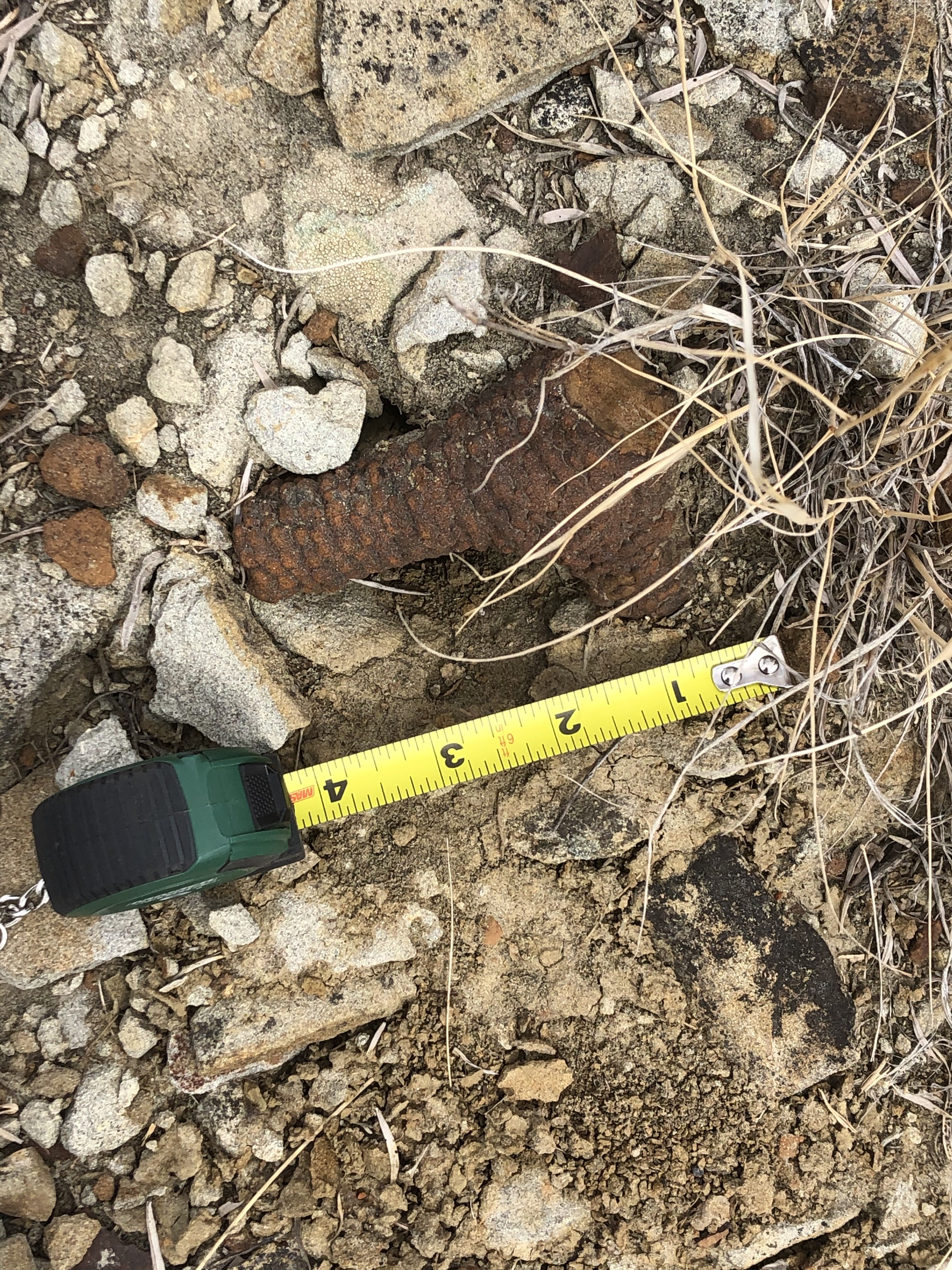 Fox Hills Formation in North Dakota 3/18/21 Pictorial Trip Report ...