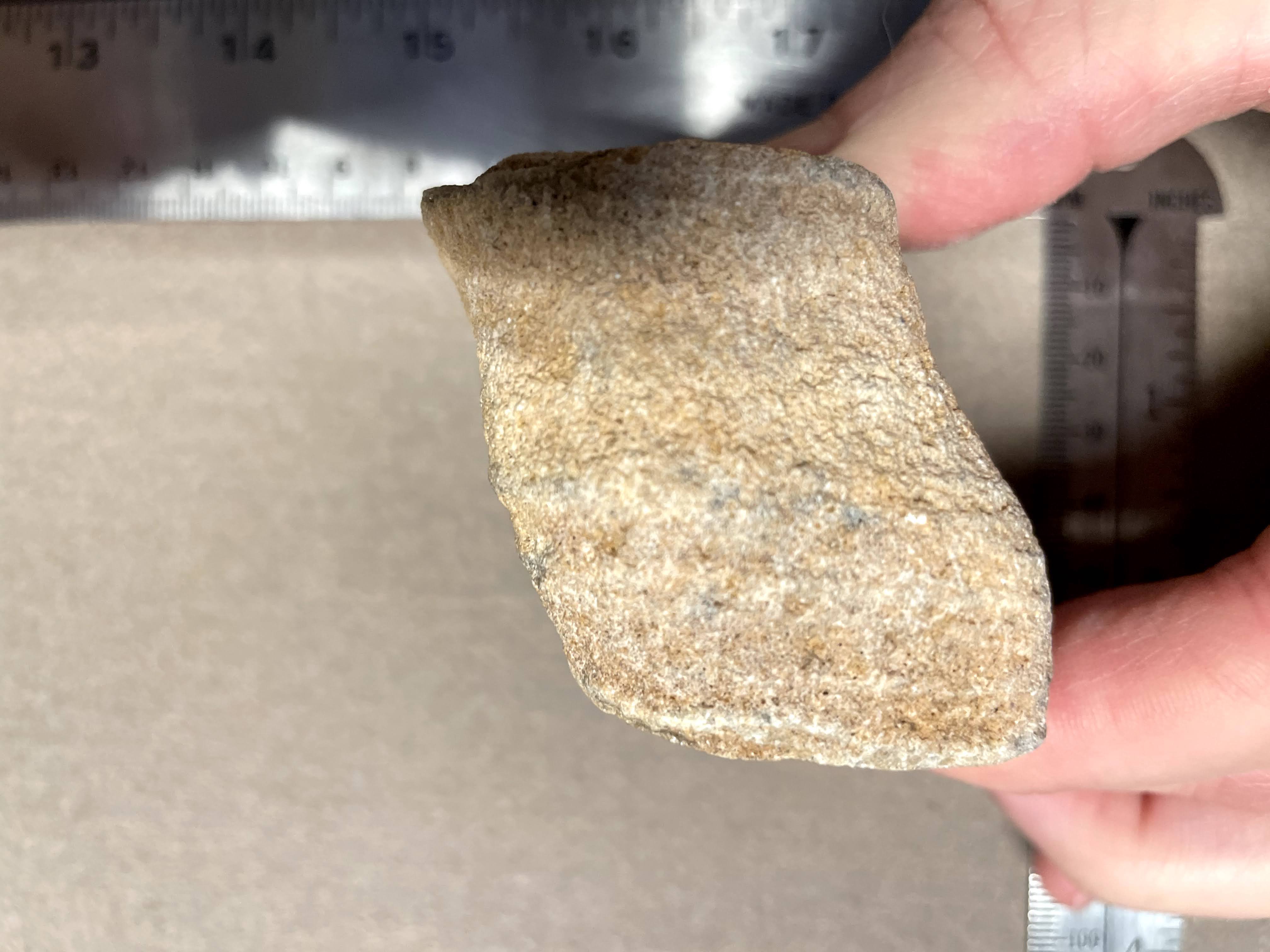 Bone fragment fossil? - Fossil ID - The Fossil Forum