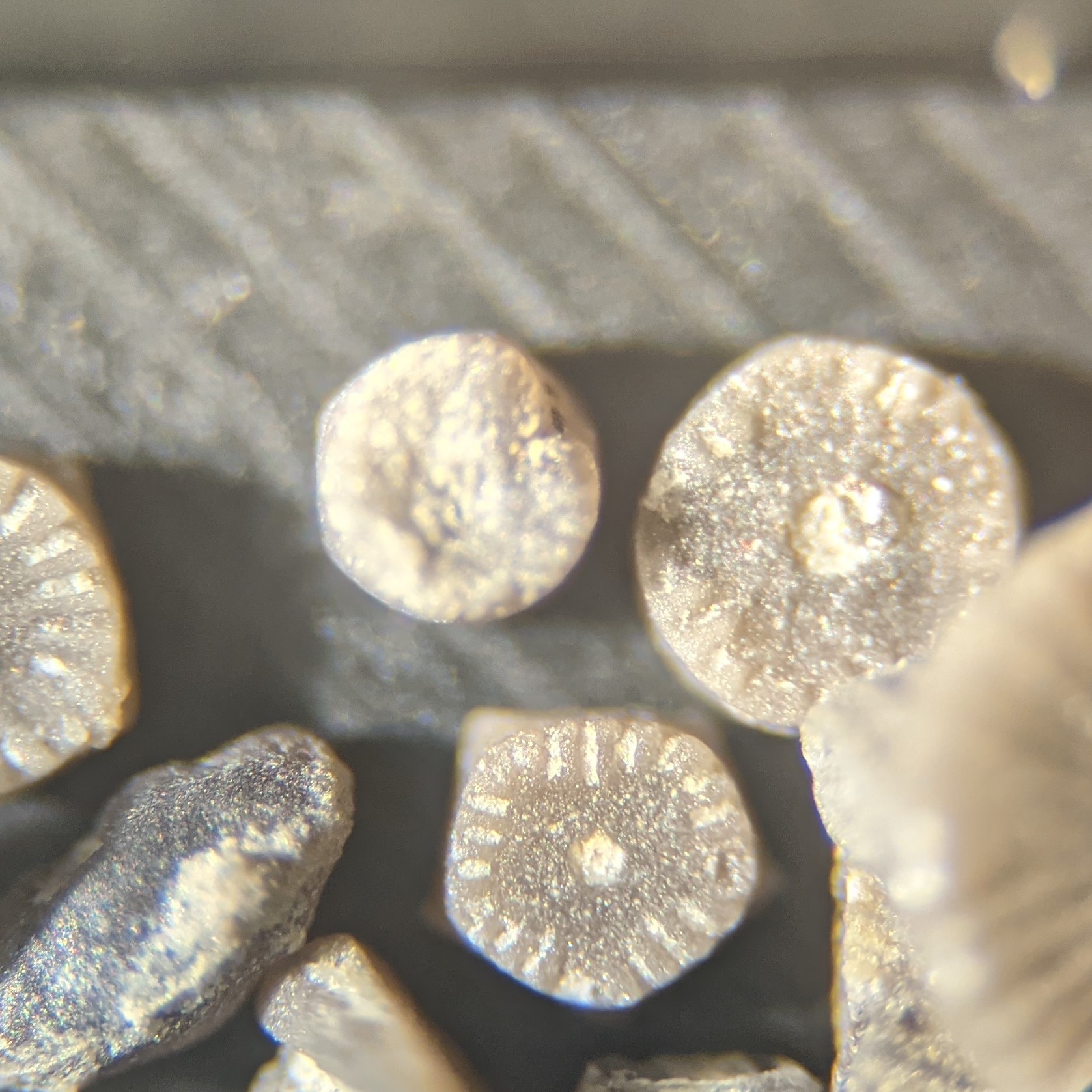 Making microfossil slides - Collecting Gear - The Fossil Forum