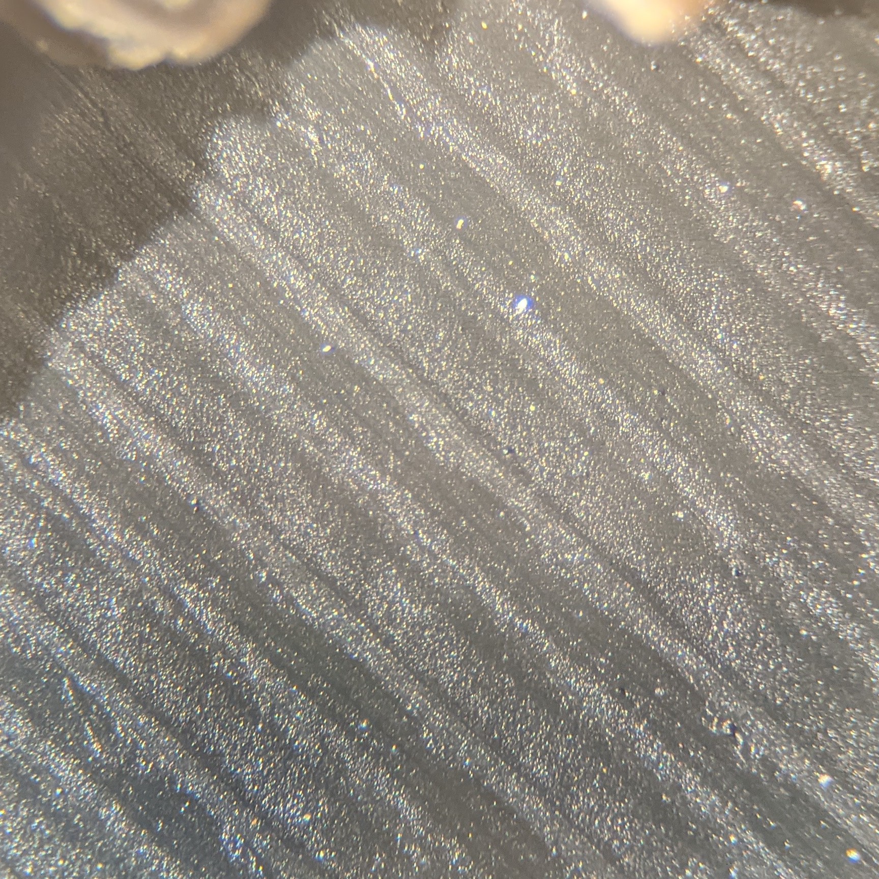 Making microfossil slides - Collecting Gear - The Fossil Forum