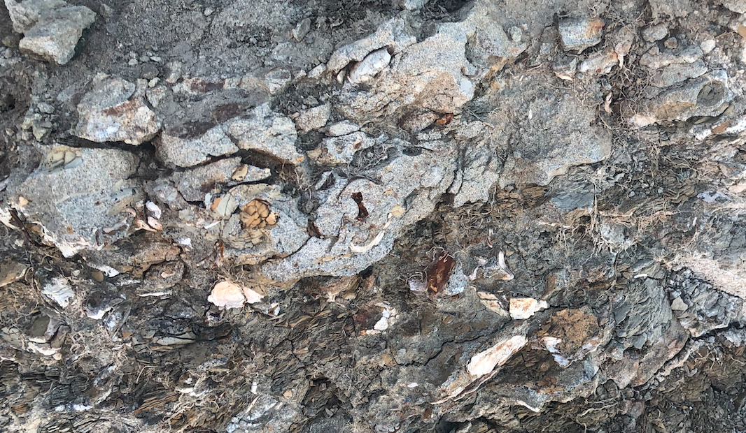 Spring in the Fox Hills Formation - Fossil Hunting Trips - The Fossil Forum