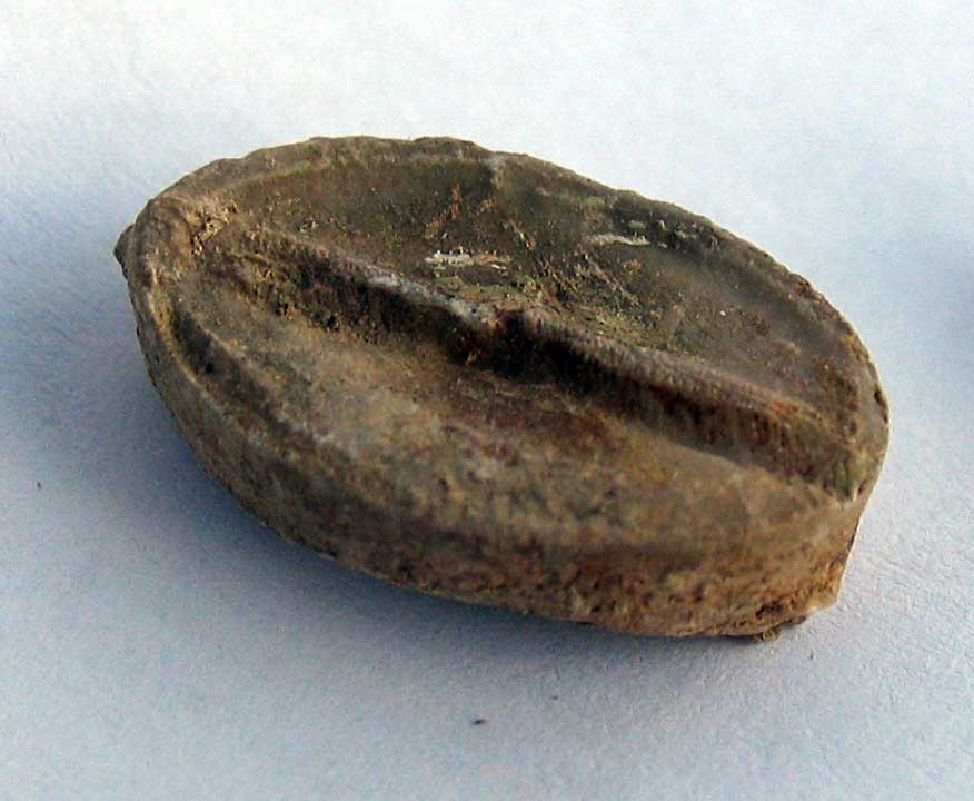 Mystery coal mine "thing" from the Pennsylvanian - Fossil ID - The ...