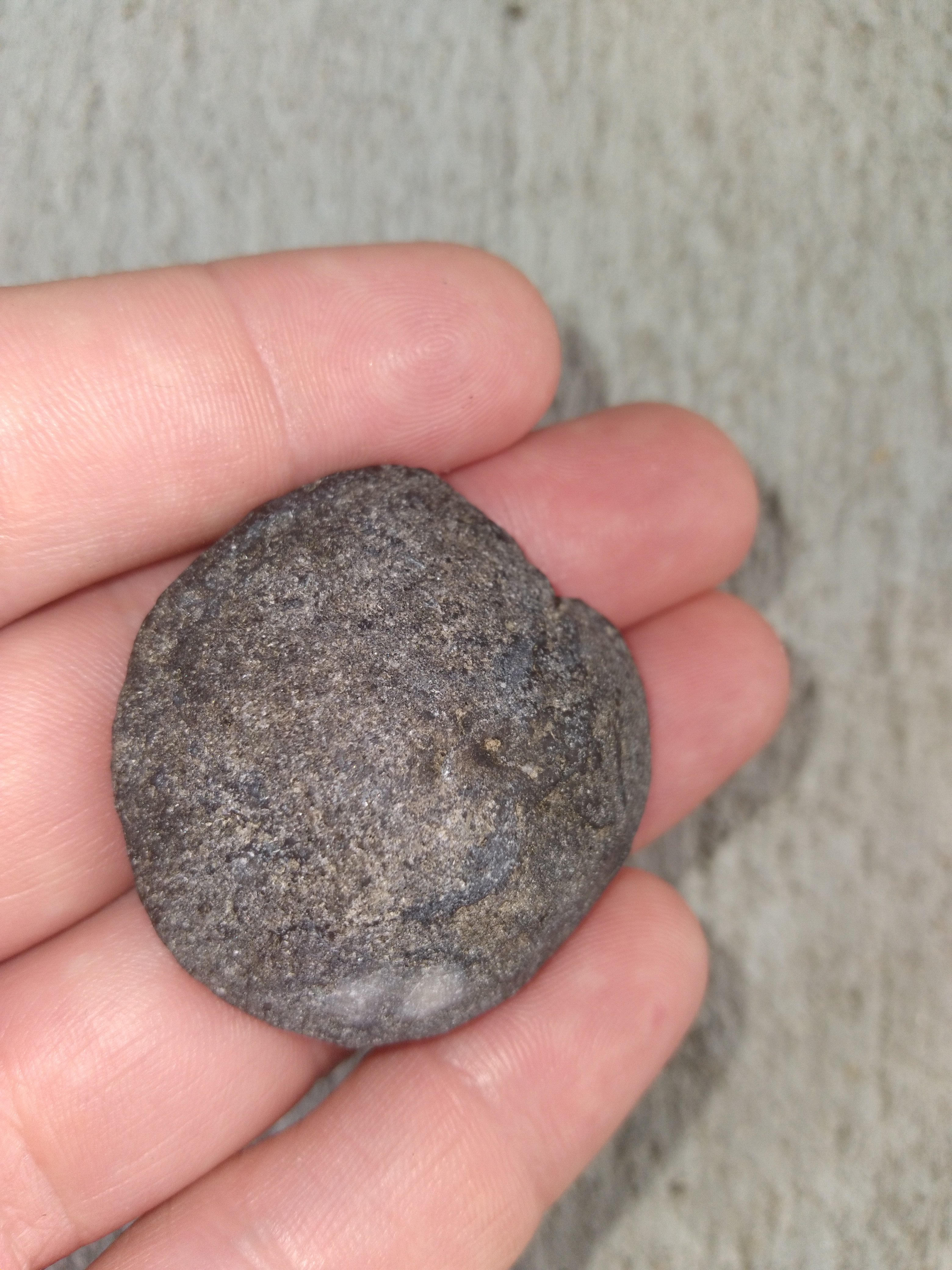 fossil finds on beach - Fossil ID - The Fossil Forum