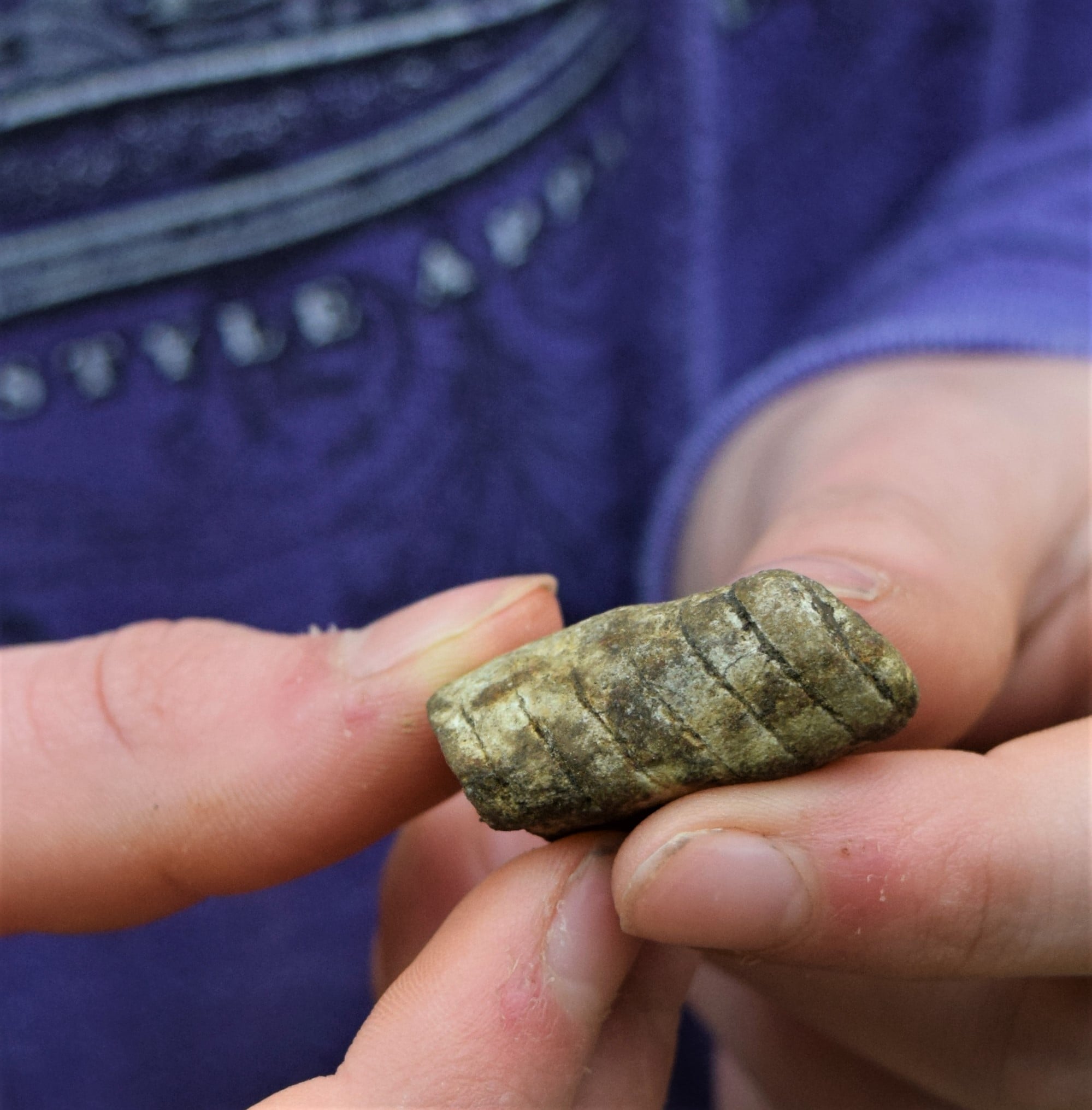 First Group Fossil Hunt of the Season - Thaleops Trilobite! - Fossil ...