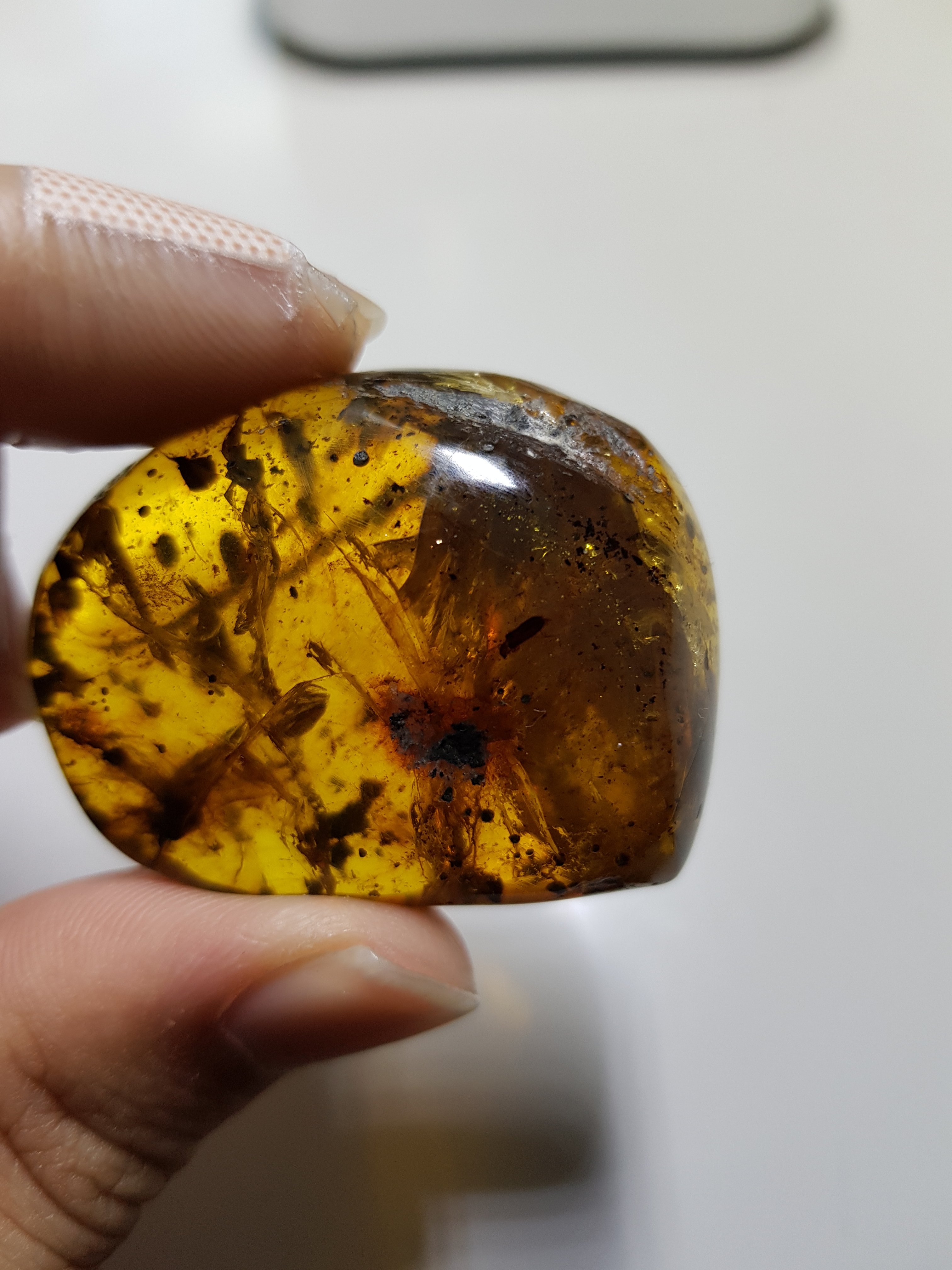Authentic Burmese amber? - Is It Real? How to Recognize Fossil ...