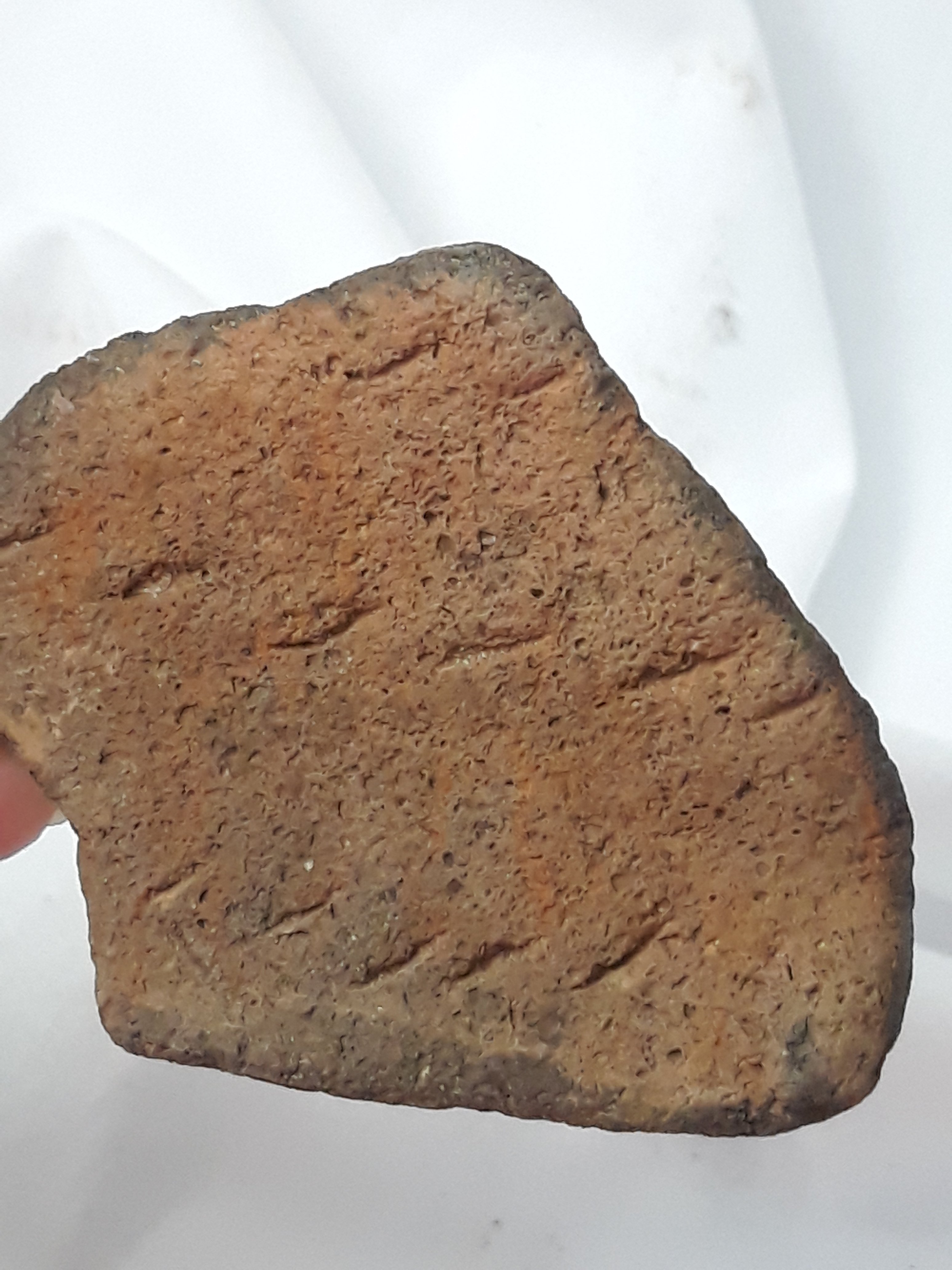 Paraloid B72 solution for fossils? Good or bad? - Questions & Answers ...