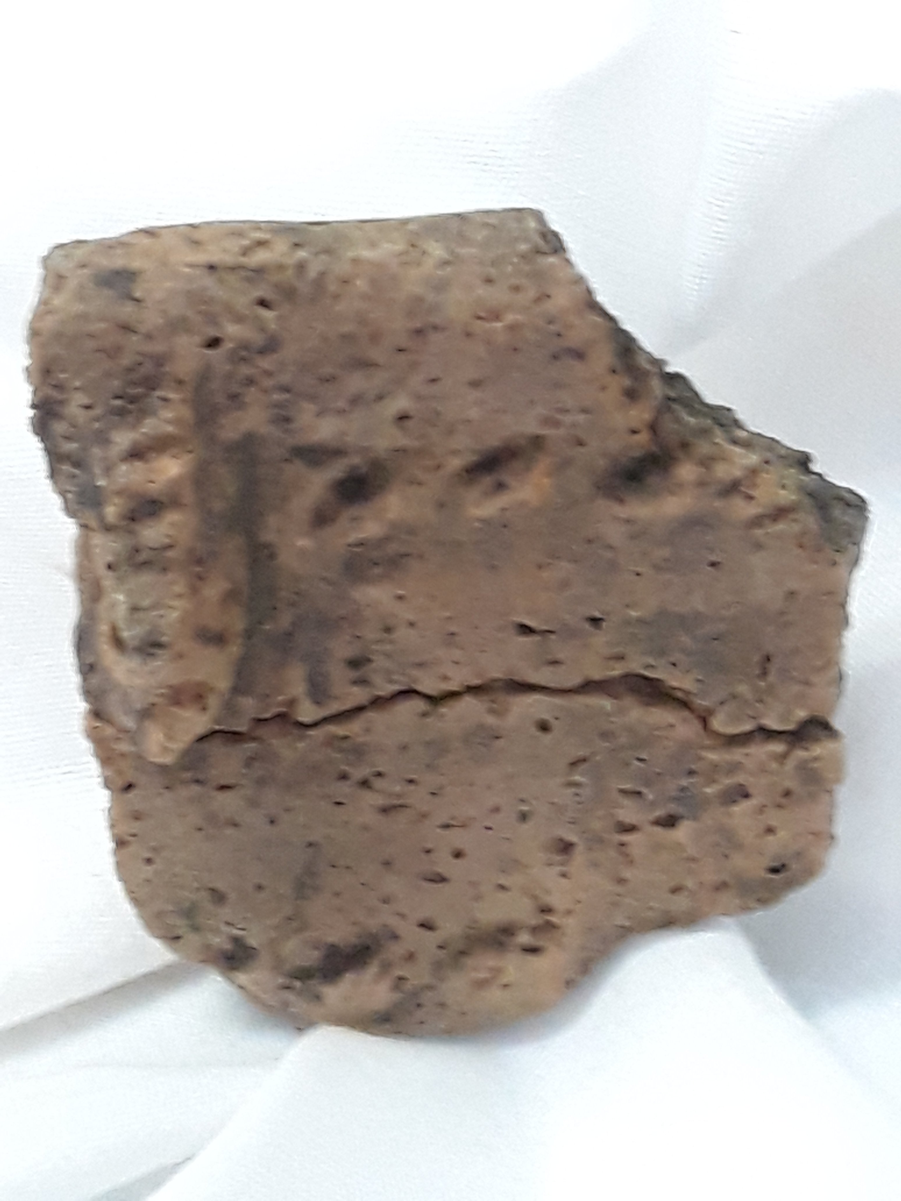 Paraloid B72 solution for fossils? Good or bad? - Questions & Answers ...