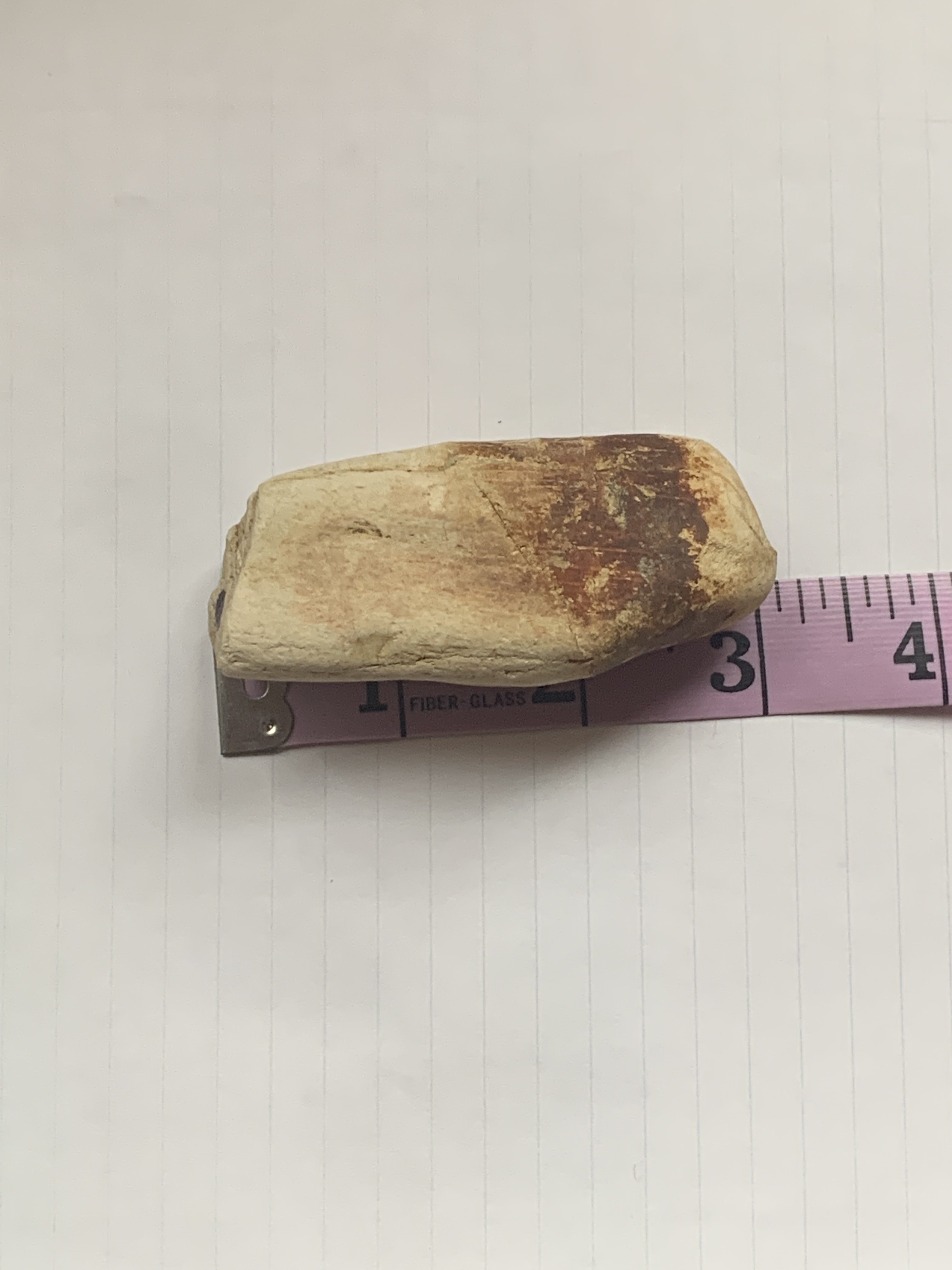 Bone with flint? - Fossil ID - The Fossil Forum